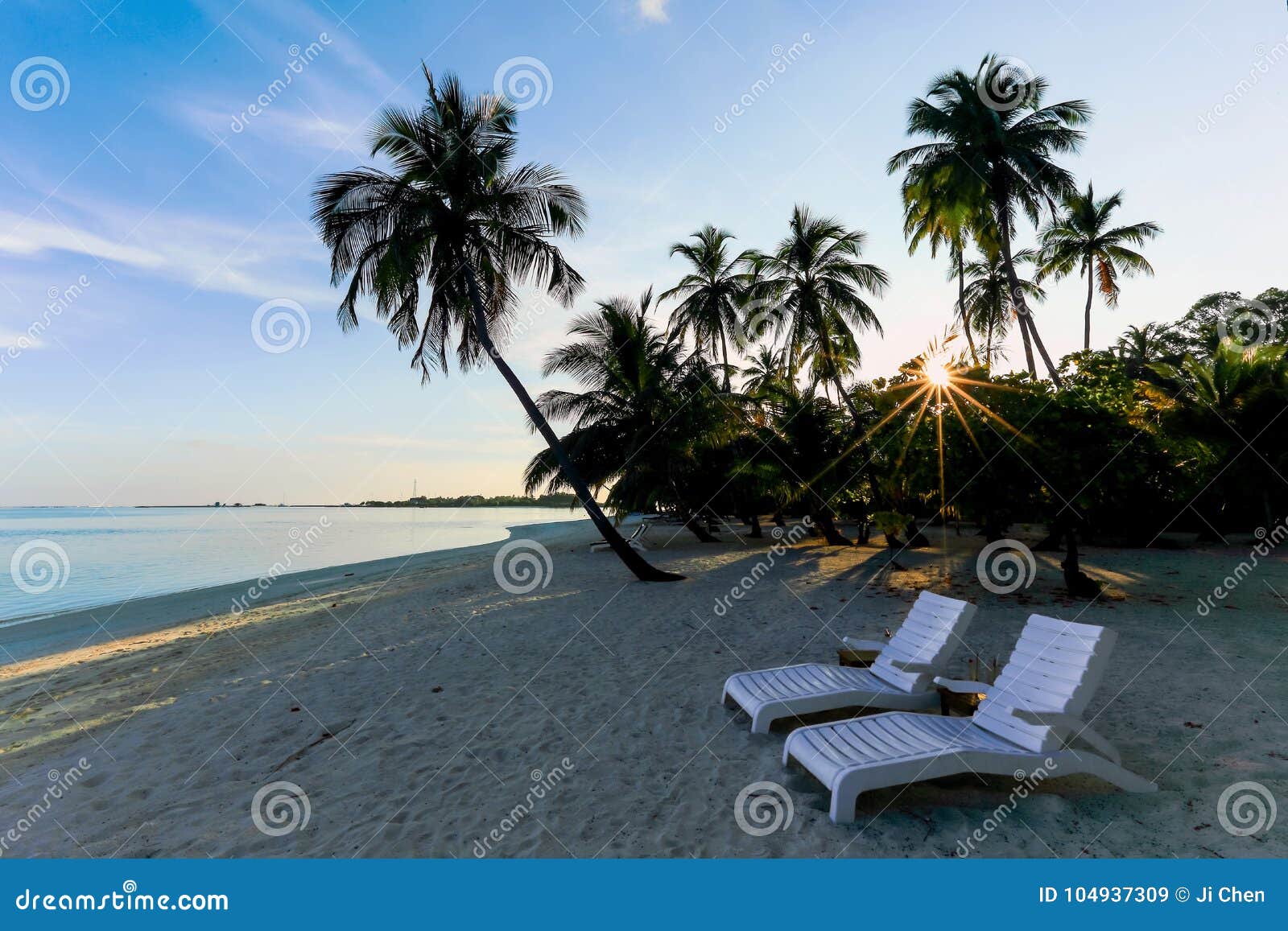 Sunshine through Palm Tree on Beach Stock Image - Image of exotic ...