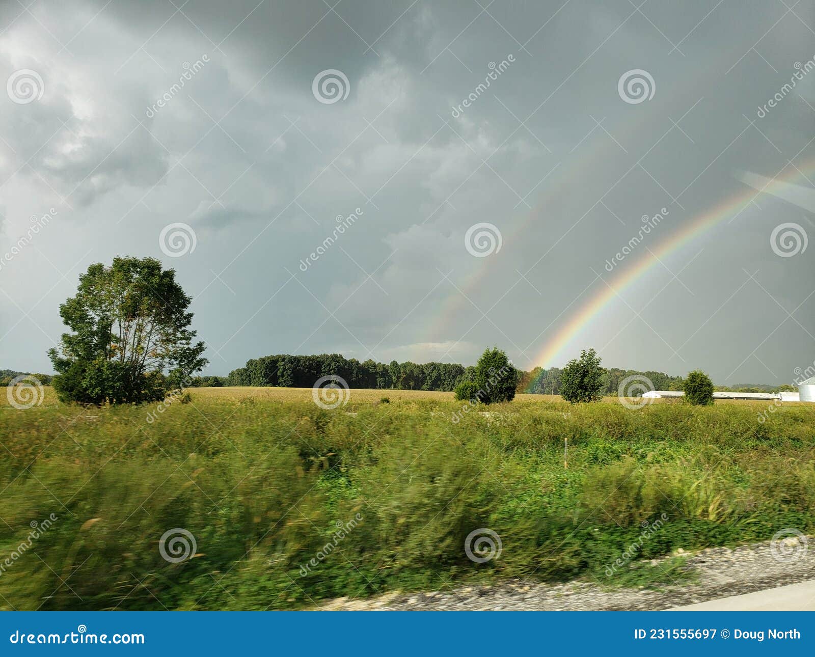 Sunshine rain and rainbow stock image. Image of plant - 231555697