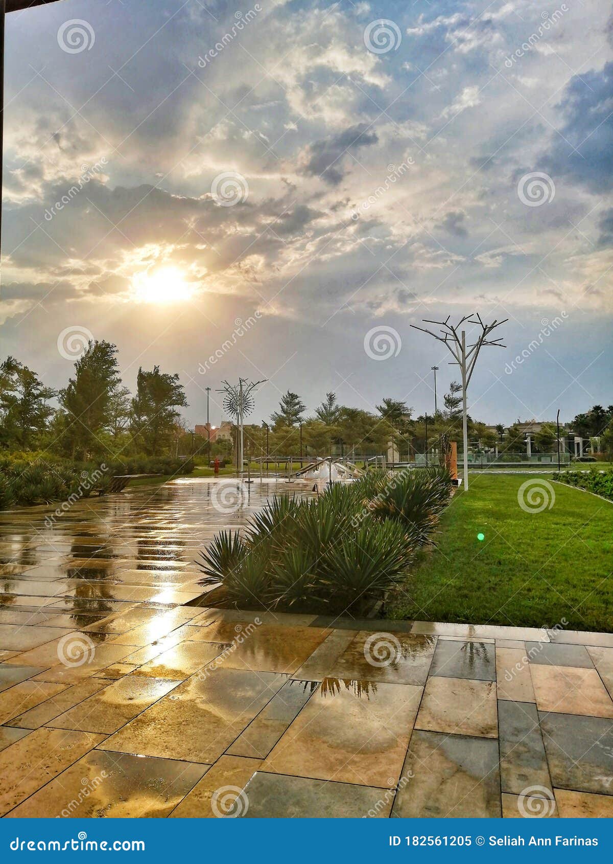 Sunshine after the Rain stock image. Image of rainfalls - 182561205