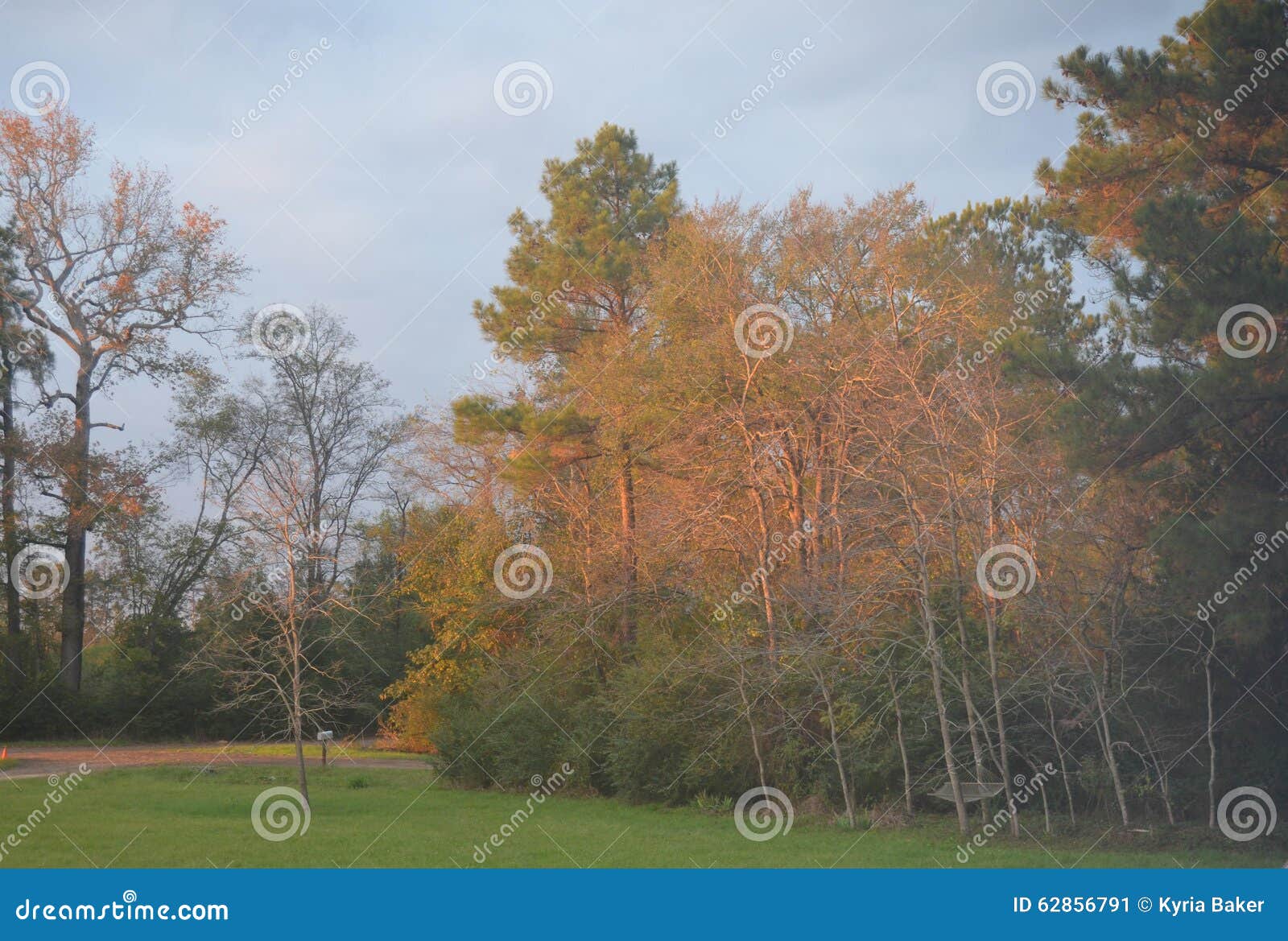 Sunshine and shade stock image. Image of sunshine, shade - 62856791