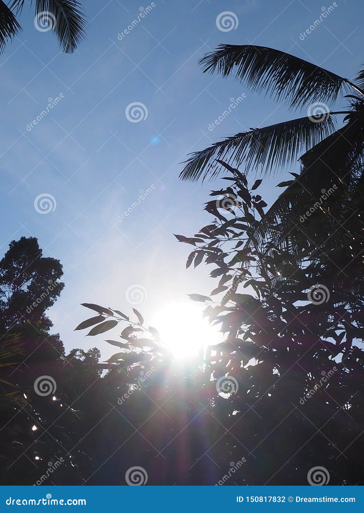 Sunshine shadow bluesky stock photo. Image of shadow - 150817832