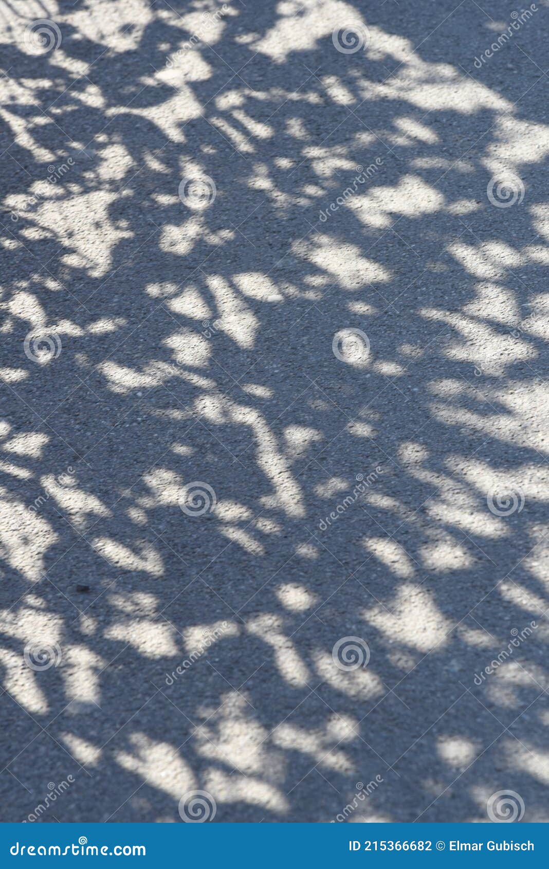 Sunshine and Shadows, Brightness and Darkness Stock Photo - Image of ...