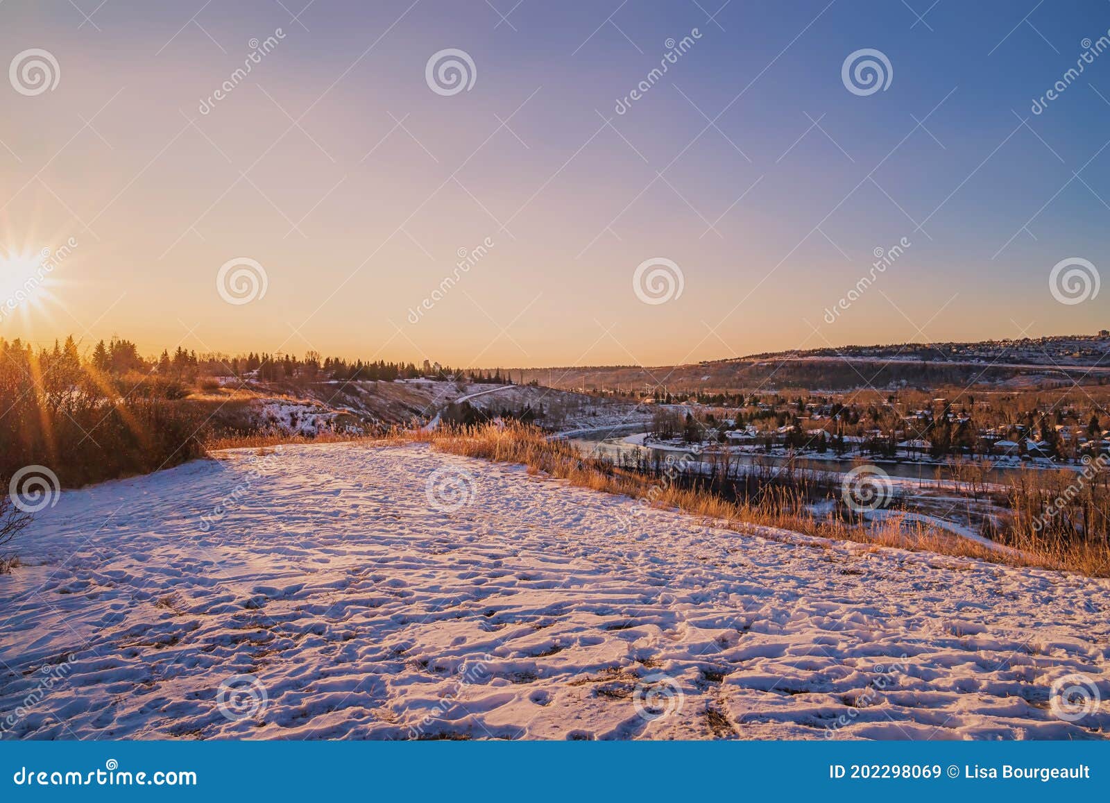 Sunshine Sky Over a Wintry Park Stock Image - Image of trees, natural ...