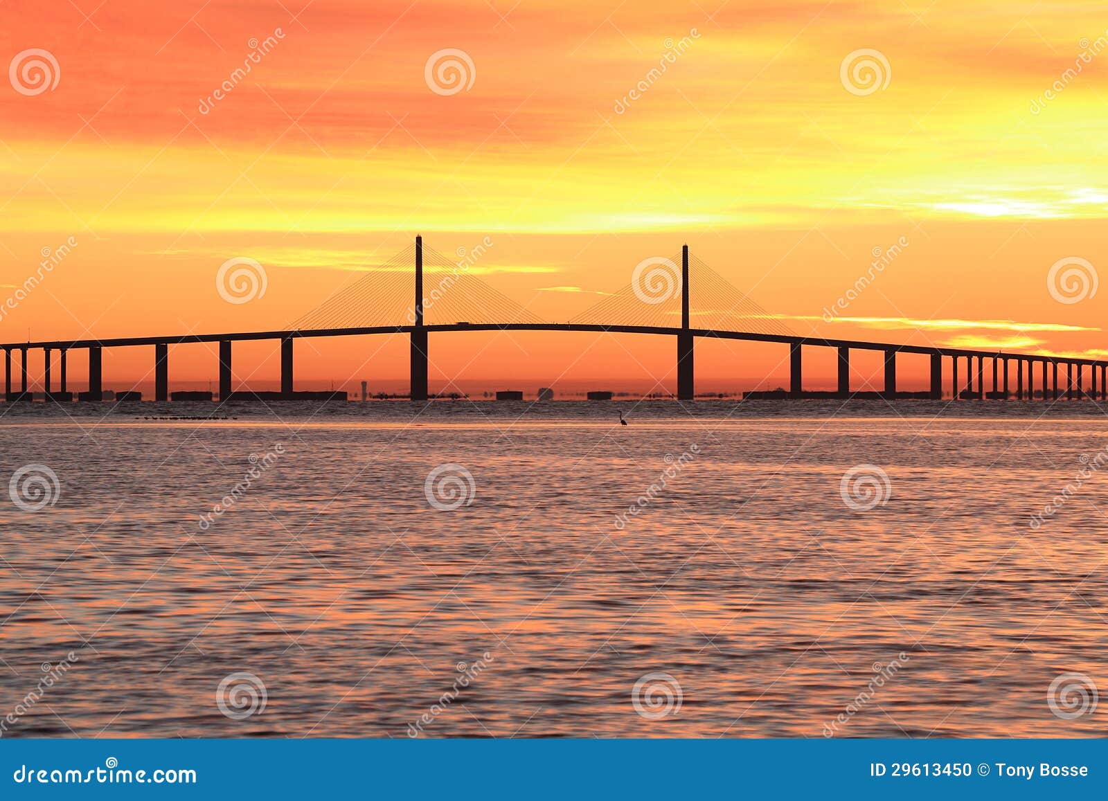 Sunshine Skyway Bridge at Sunrise Stock Photo - Image of sunlight ...