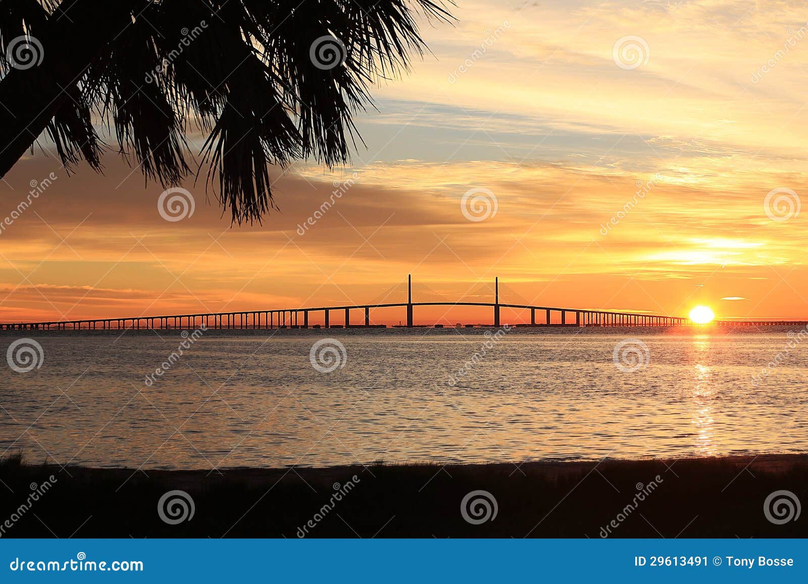 Sunshine Skyway Bridge in Florida at Sunrise Stock Image - Image of ...