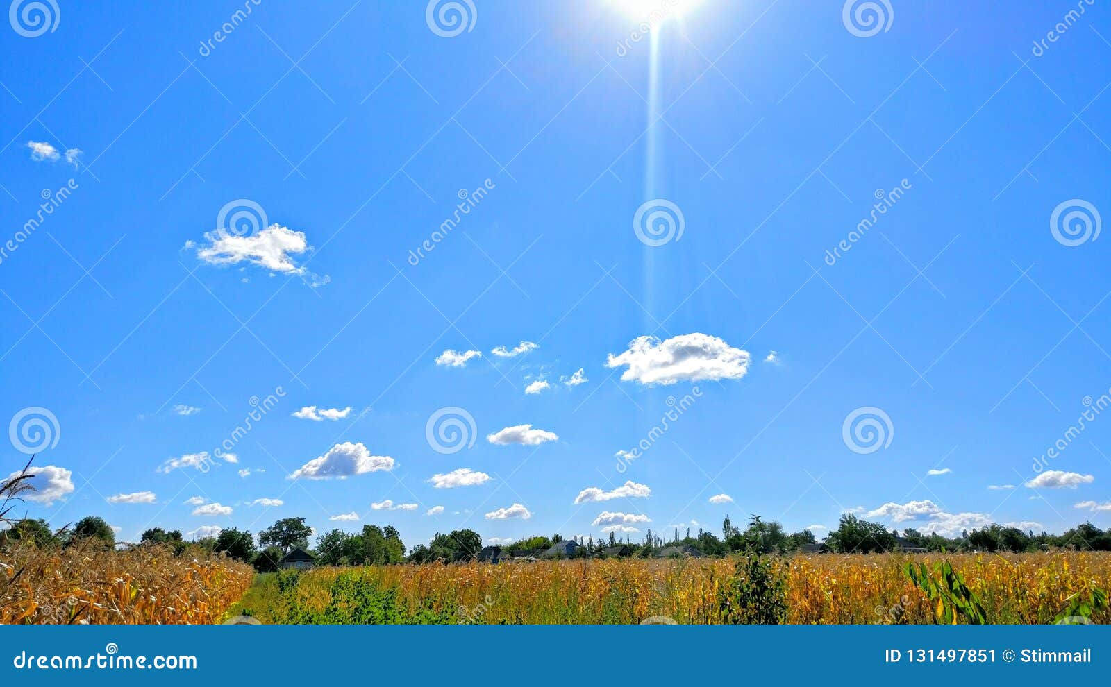 Sunshine in the Sping Fields Stock Image - Image of beatiful, country ...
