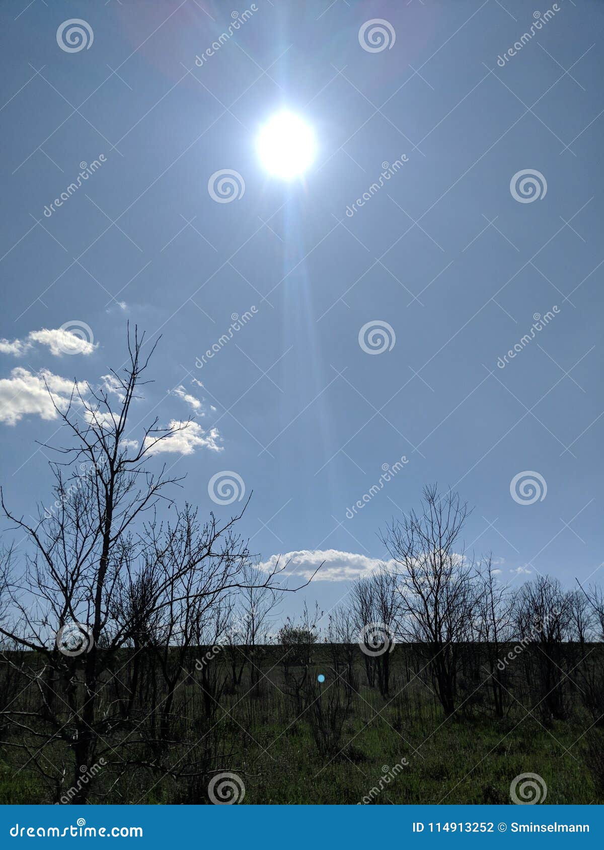 Sunshine in the spring stock photo. Image of blue, fairweather - 114913252