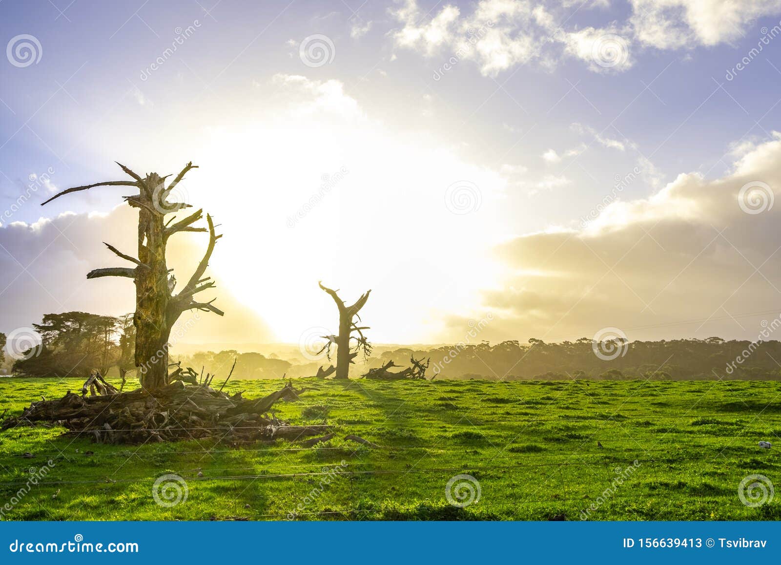 Sunshine after Storm Over Meadow. Stock Image - Image of bright, field ...