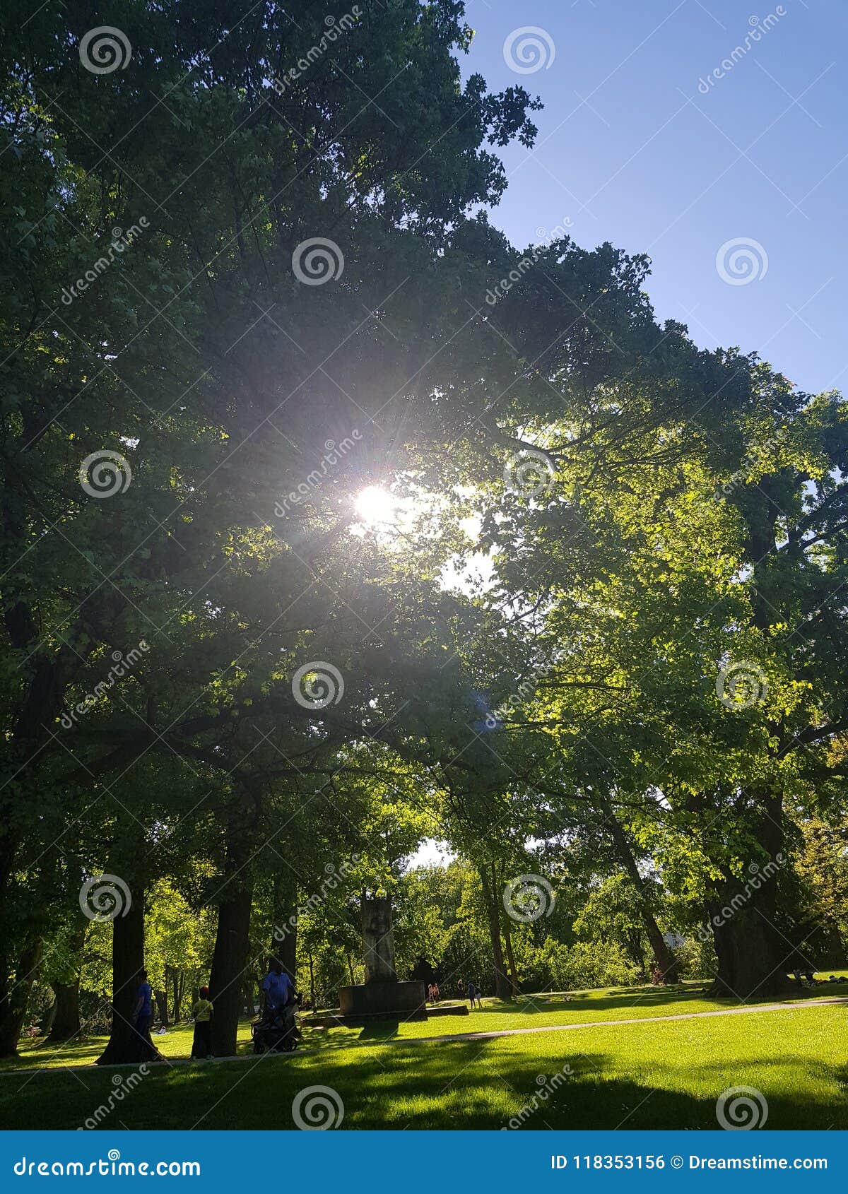 Sunshine with Trees editorial photo. Image of trees - 118353156