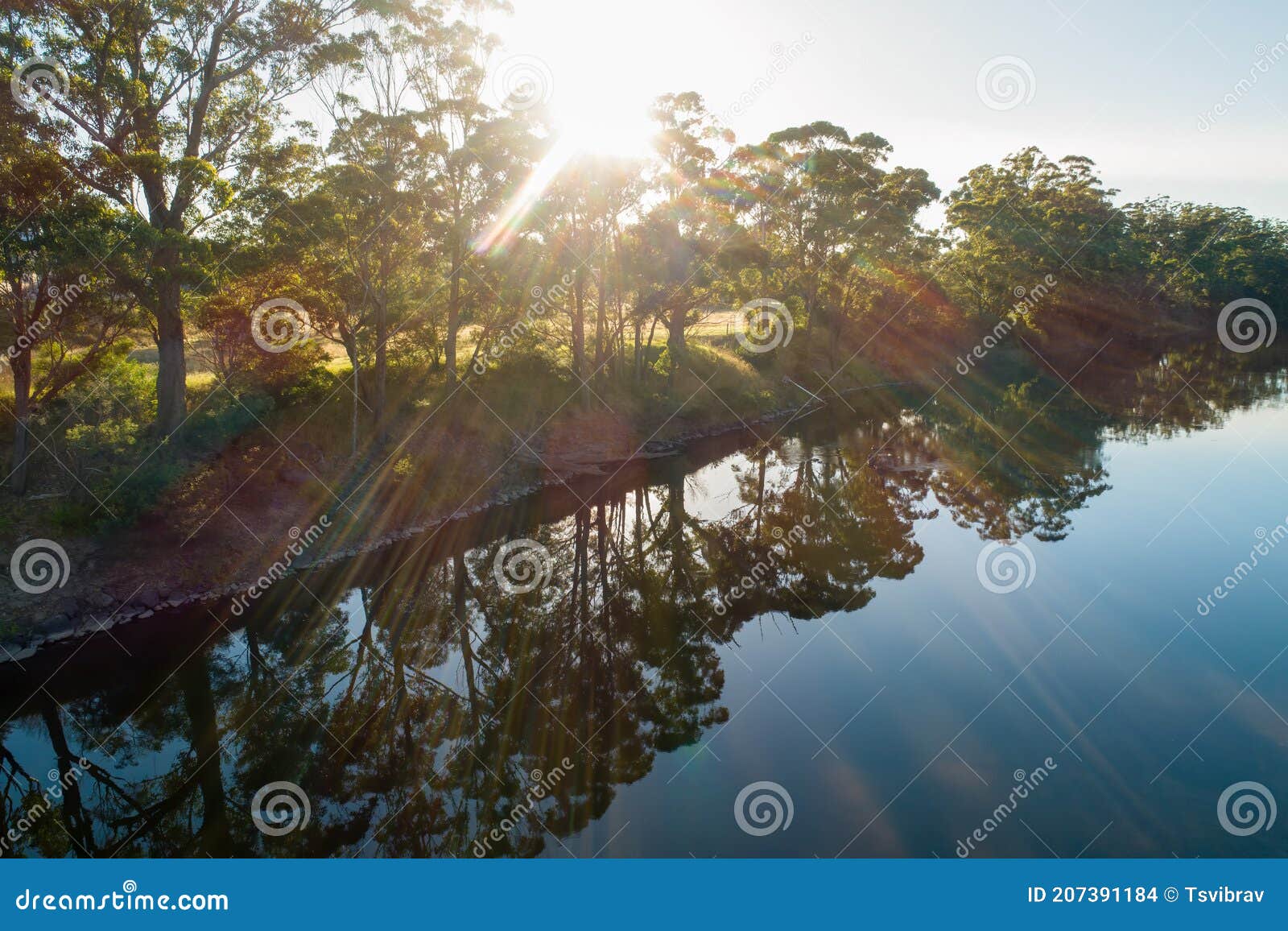 Sunshine through Trees on Riverbank. Stock Photo - Image of aerial ...