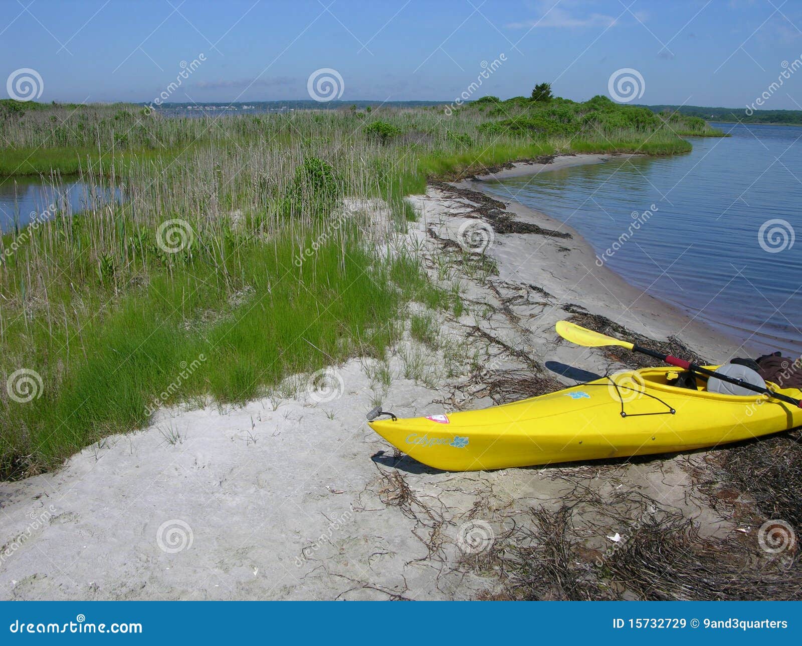 Man In A Yellow Kayak Rowing Through The Aisle In A Dry Cane Stock ...