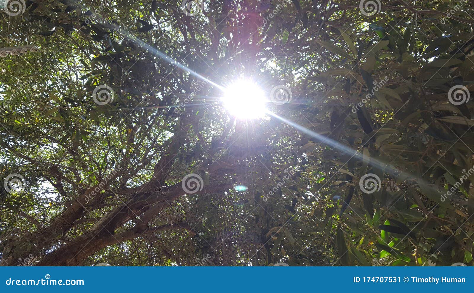Sunstroke stock image. Image of bright, street, sunstroke - 174707531