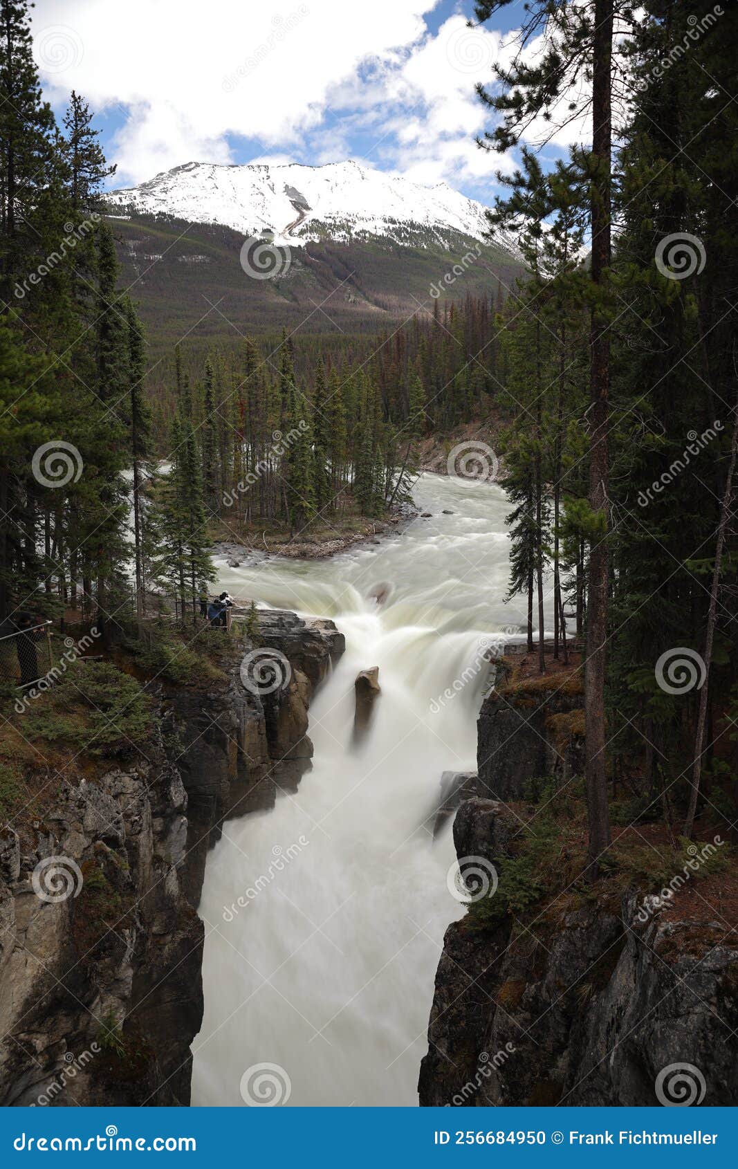 Sunwapta Falls - Alberta, Canada Stock Photo - Image of rock, autumn ...