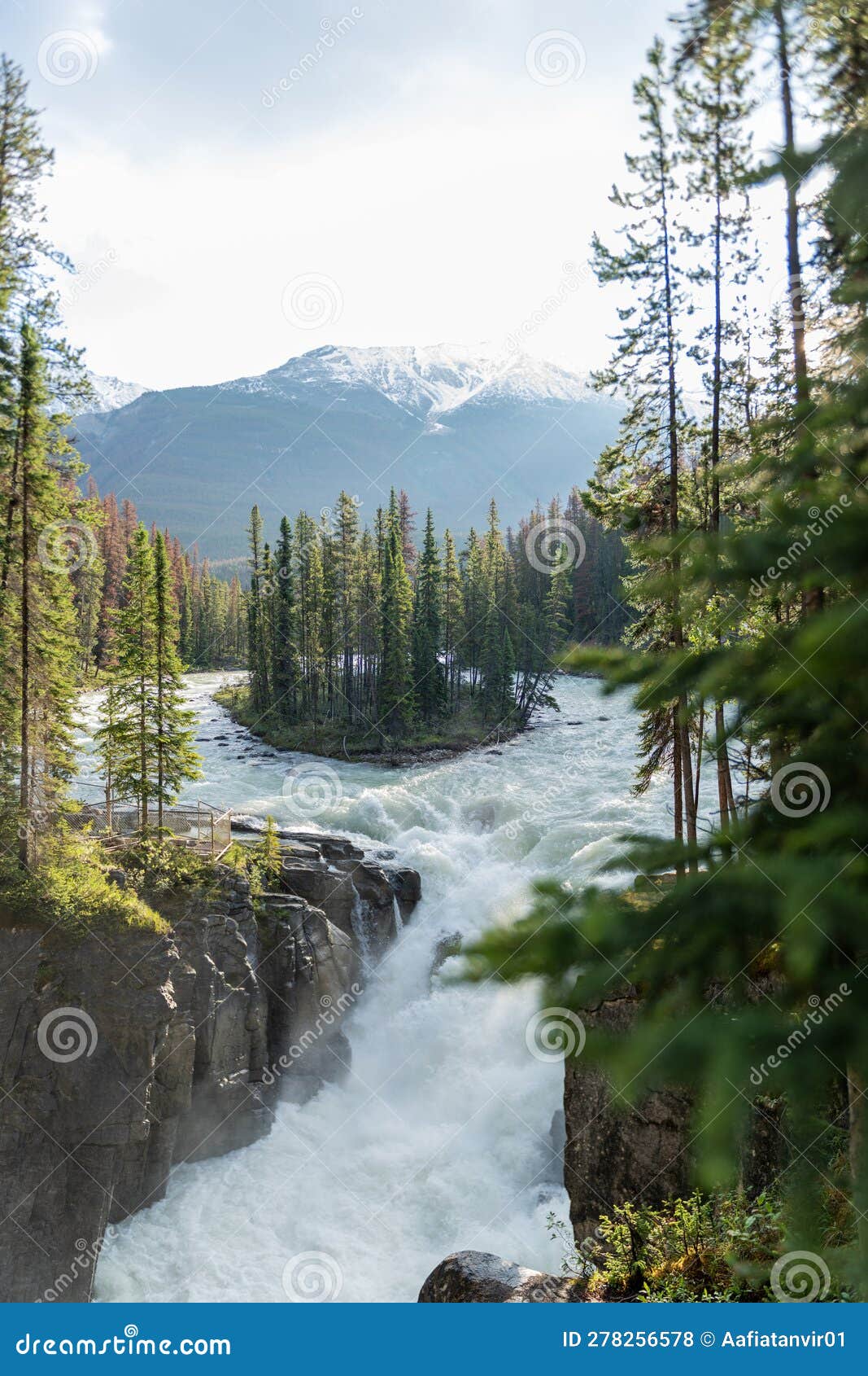 Falls In Island Palawan Jungle Royalty-Free Stock Photography ...