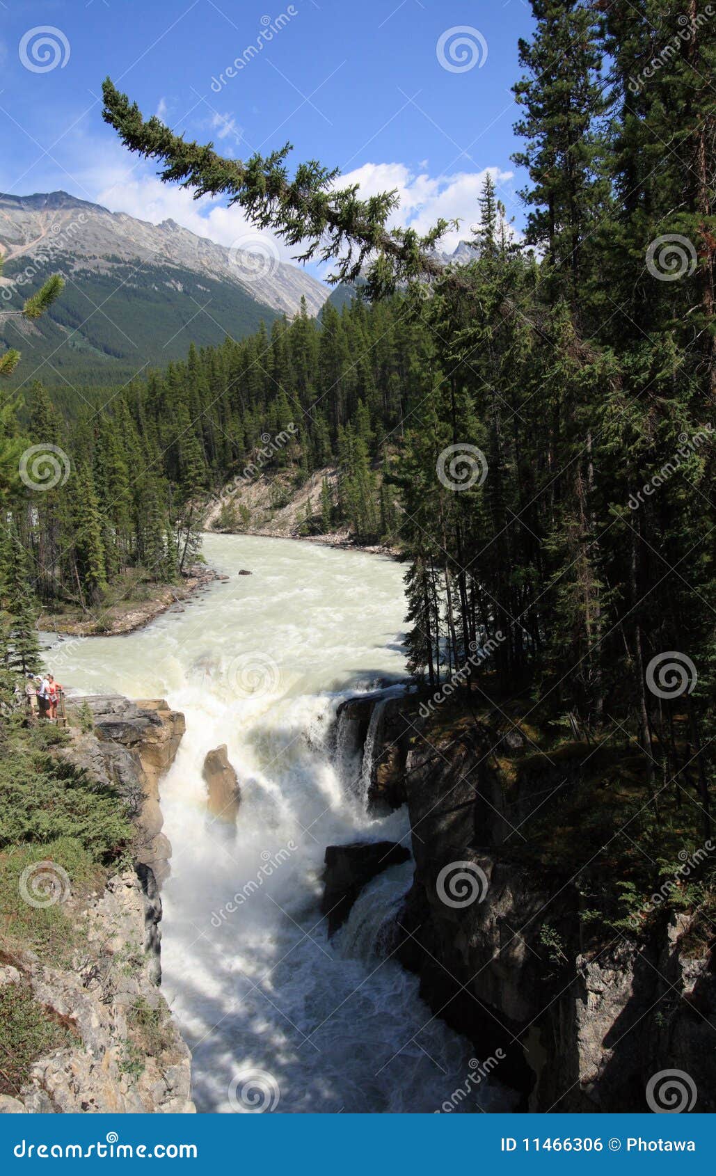 Sunwapta Falls Lookout stock photo. Image of mountains - 11466306