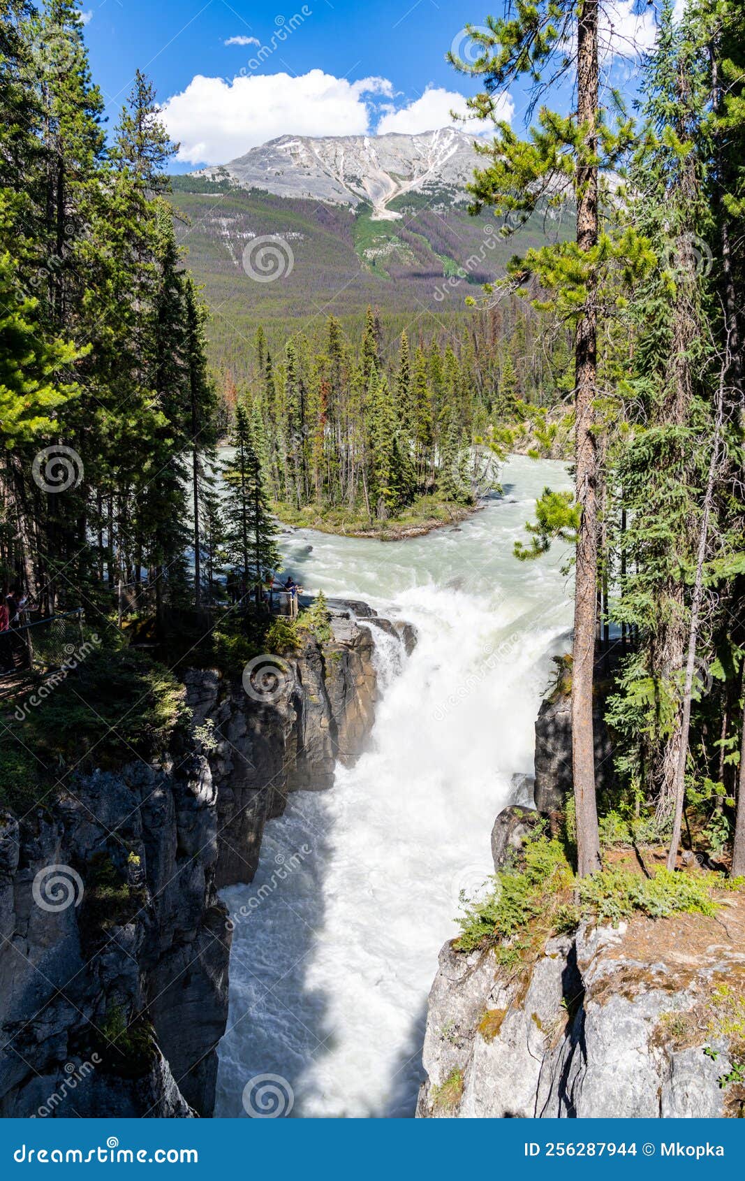 Sunwapta Falls Waterfall in Jasper National Park Stock Photo - Image of ...
