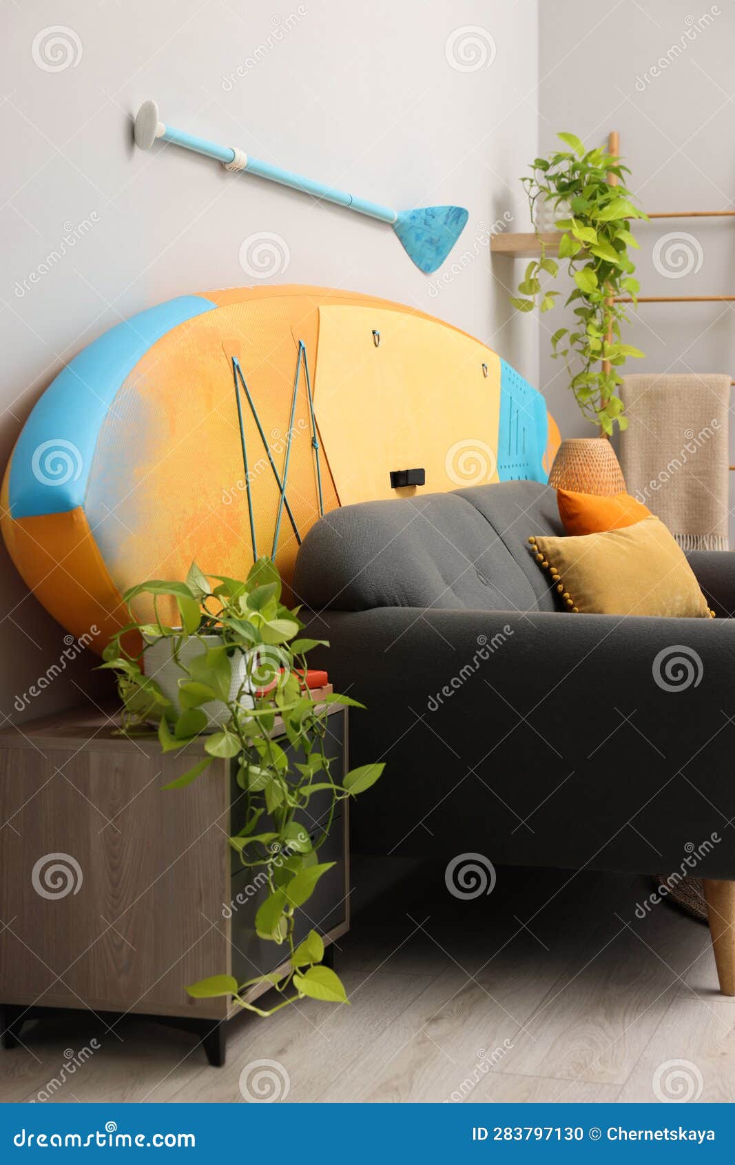 SUP Board, Paddle and Stylish Sofa in Living Room. Interior Design ...