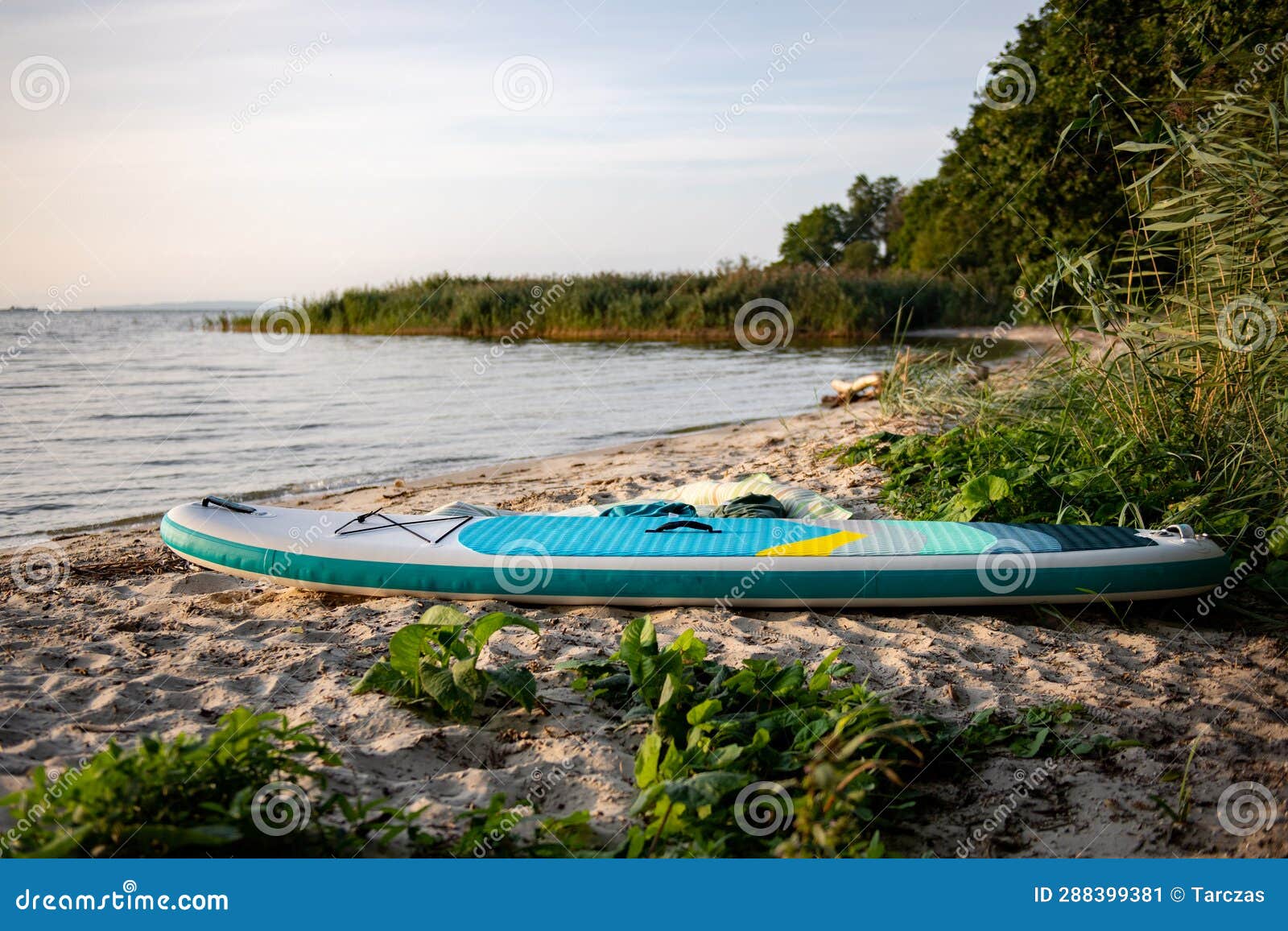 Sup Paddle Board on the Lake Coast Stock Image - Image of sport ...