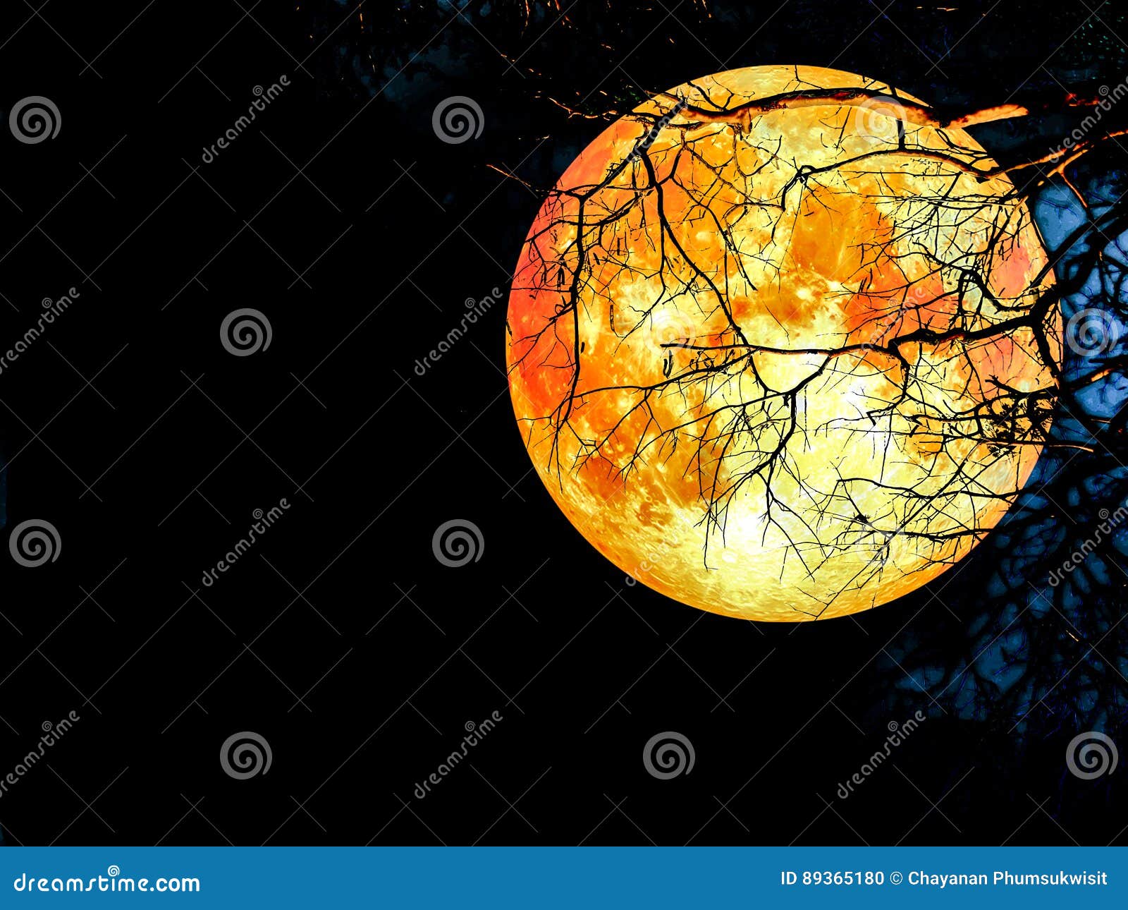 Super Blood Moon Silhouette Dry Tree Stock Photo - Image of astronomy ...