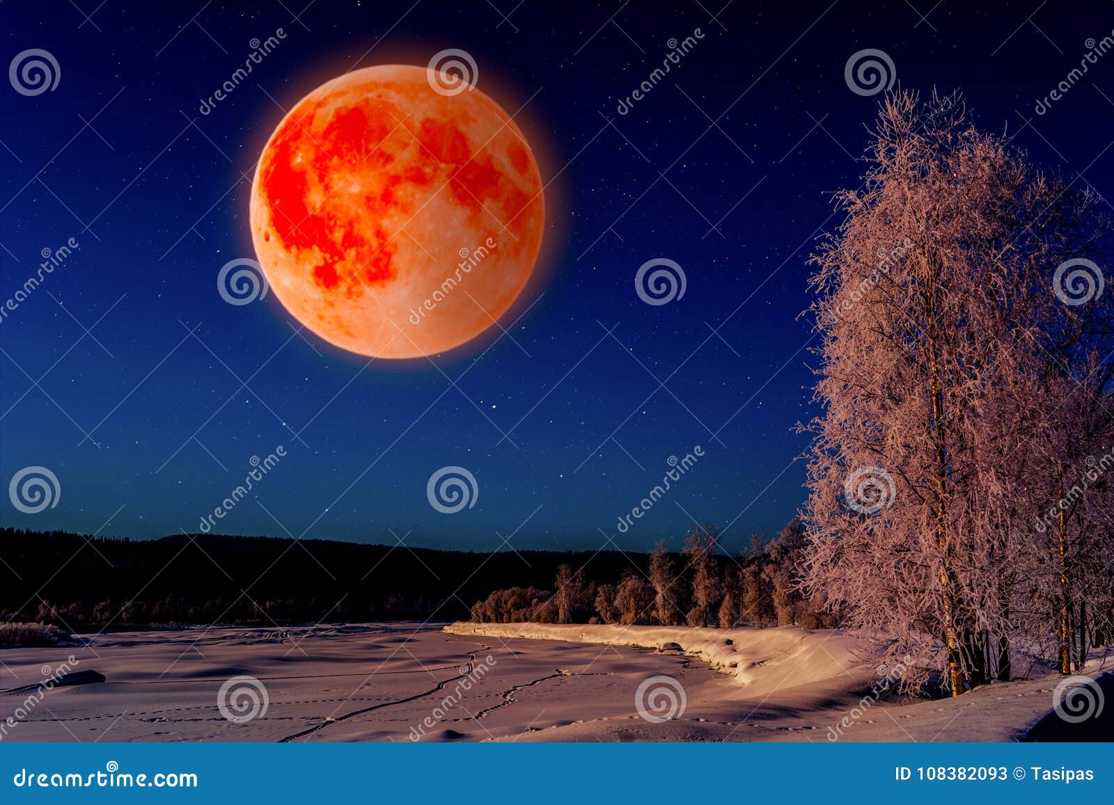 Super Bloody Moon Winter View Stock Image - Image of astronomy, scenic ...