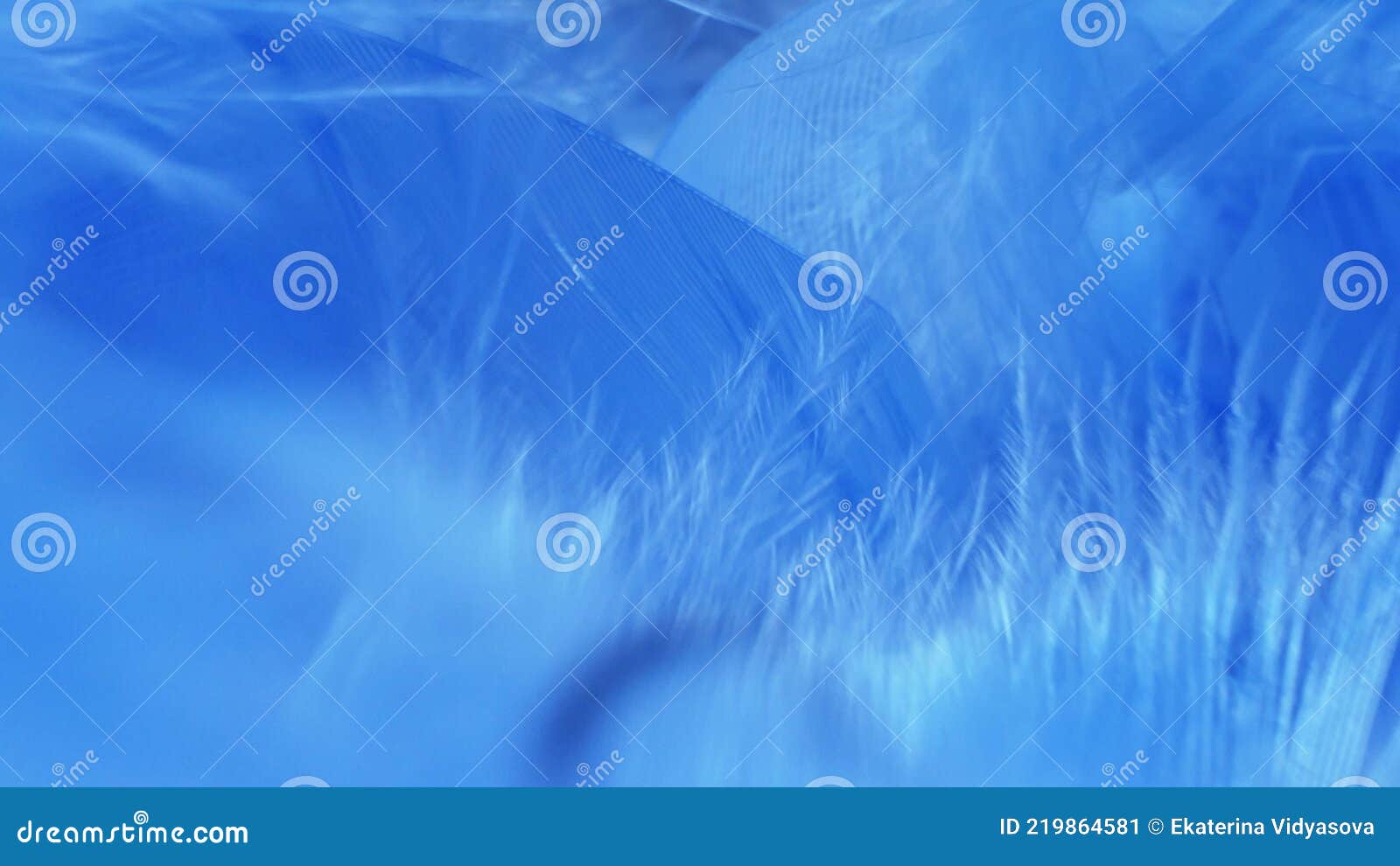 Super Close-up, Details. Blue Fluff in a Neckpiece Stock Image - Image ...