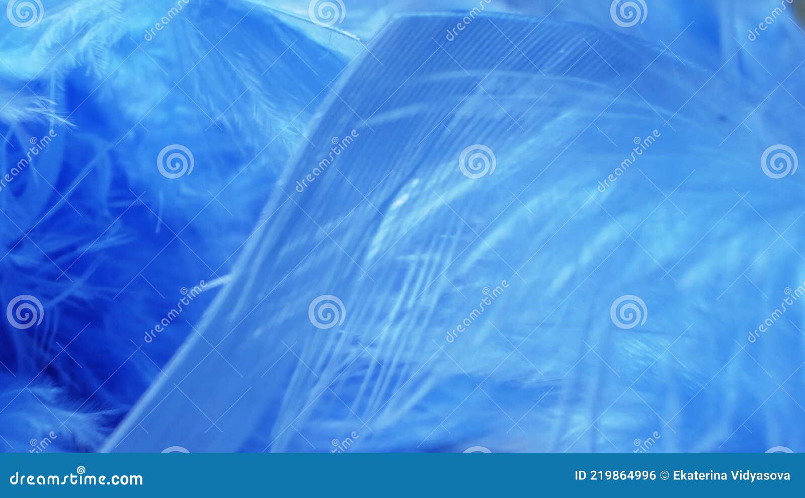 Super Close-up, Details. Blue Fluff in a Neckpiece Stock Photo - Image ...