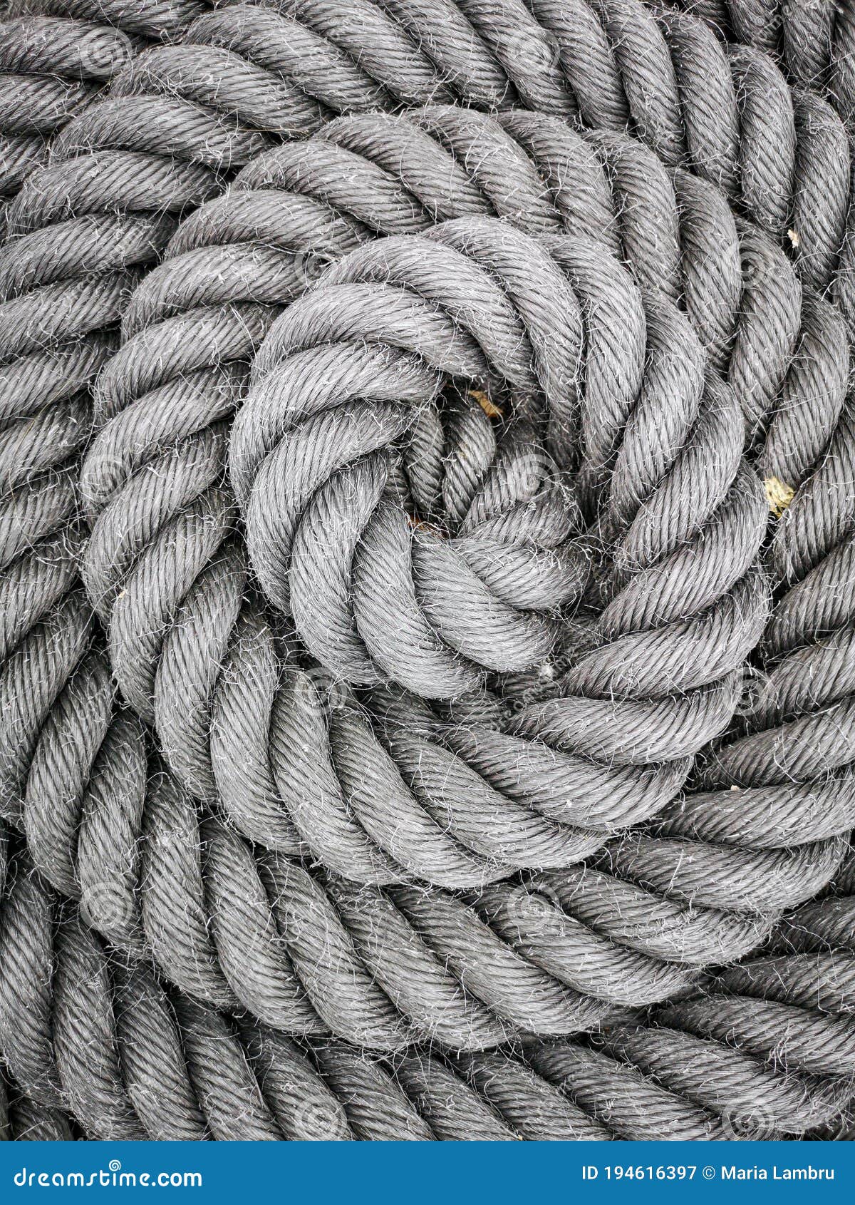 Super Close Up of a Thick Rope Stock Image - Image of boating, navy ...