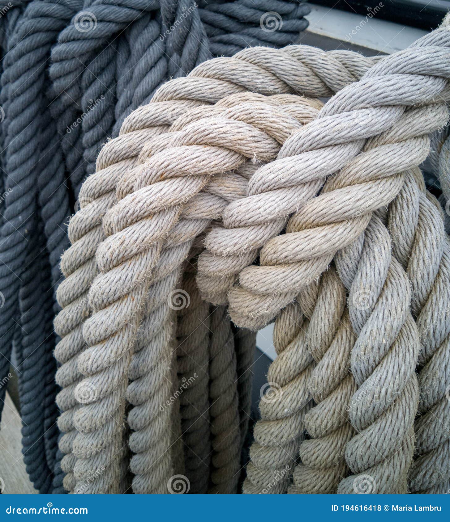 Super Close Up of a Thick Rope Stock Photo - Image of knot, background ...