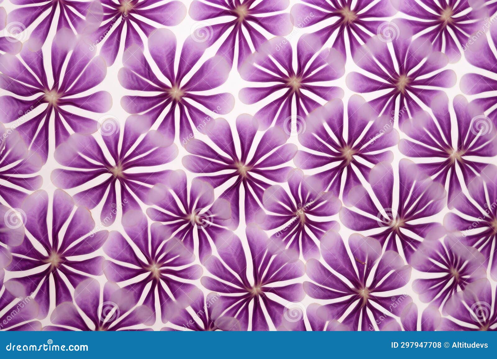 Super Close-up of a Violets Petal Pattern Stock Illustration ...