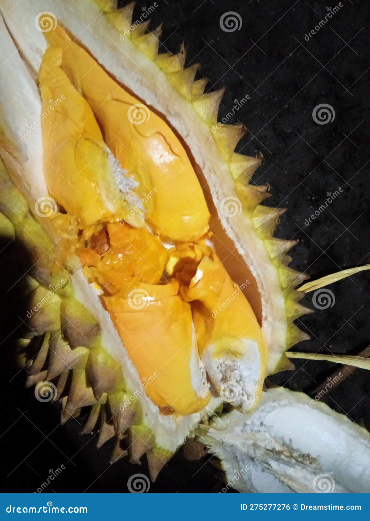 Super delicious durians stock photo. Image of lezat - 275277276