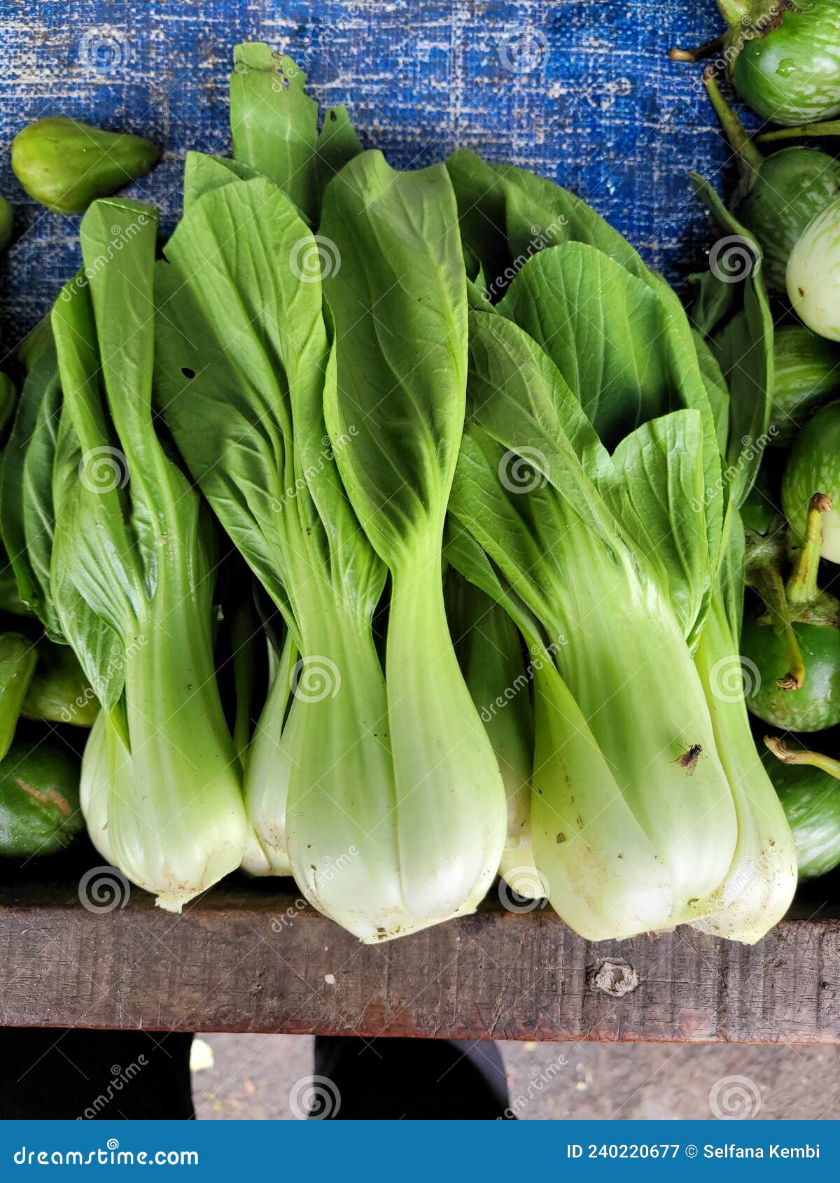 Super green pac choy stock image. Image of salad, dish - 240220677