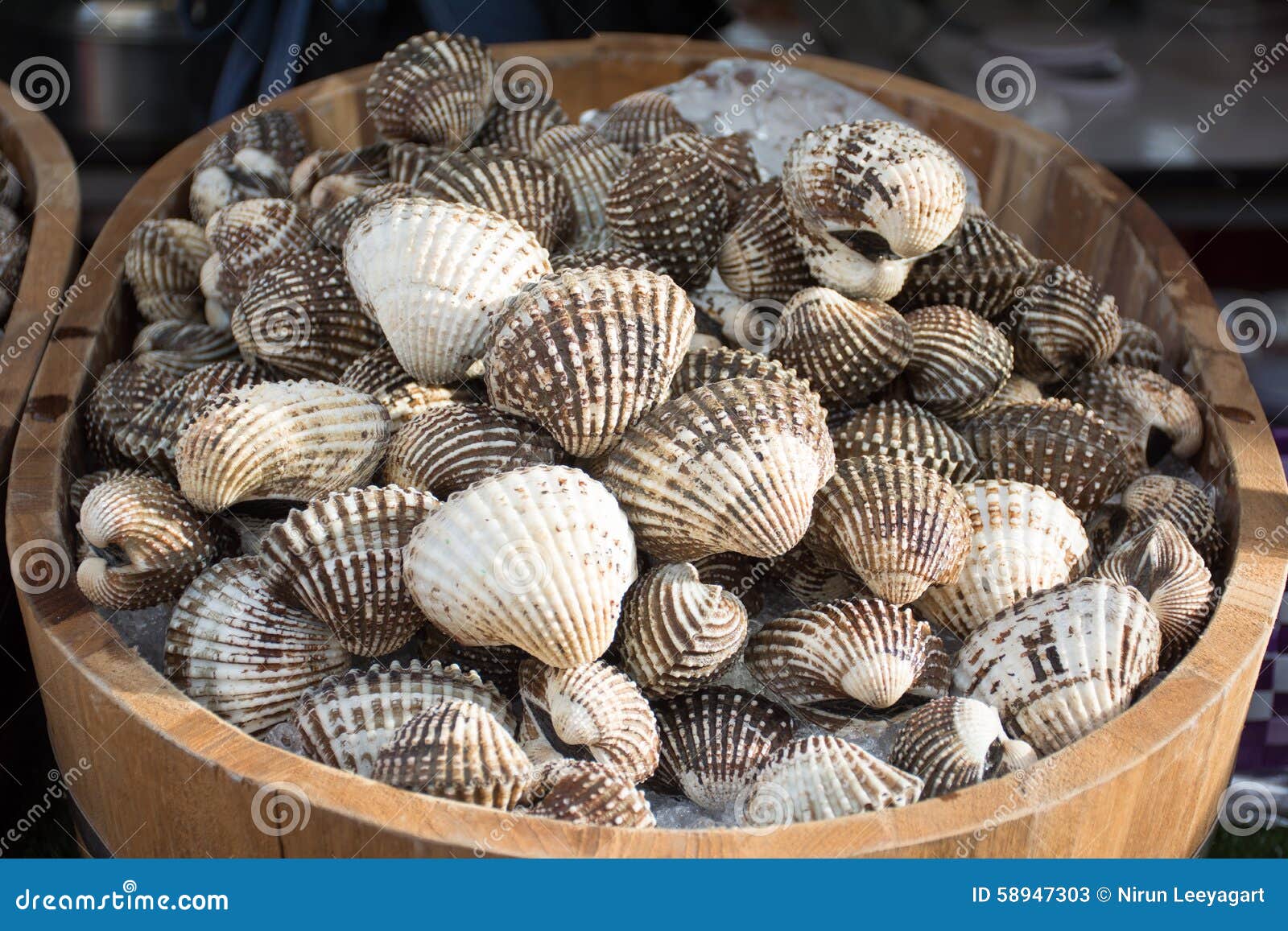 Super Grote Kokkel in Kuiper Stock Afbeelding - Image of vers, koken ...