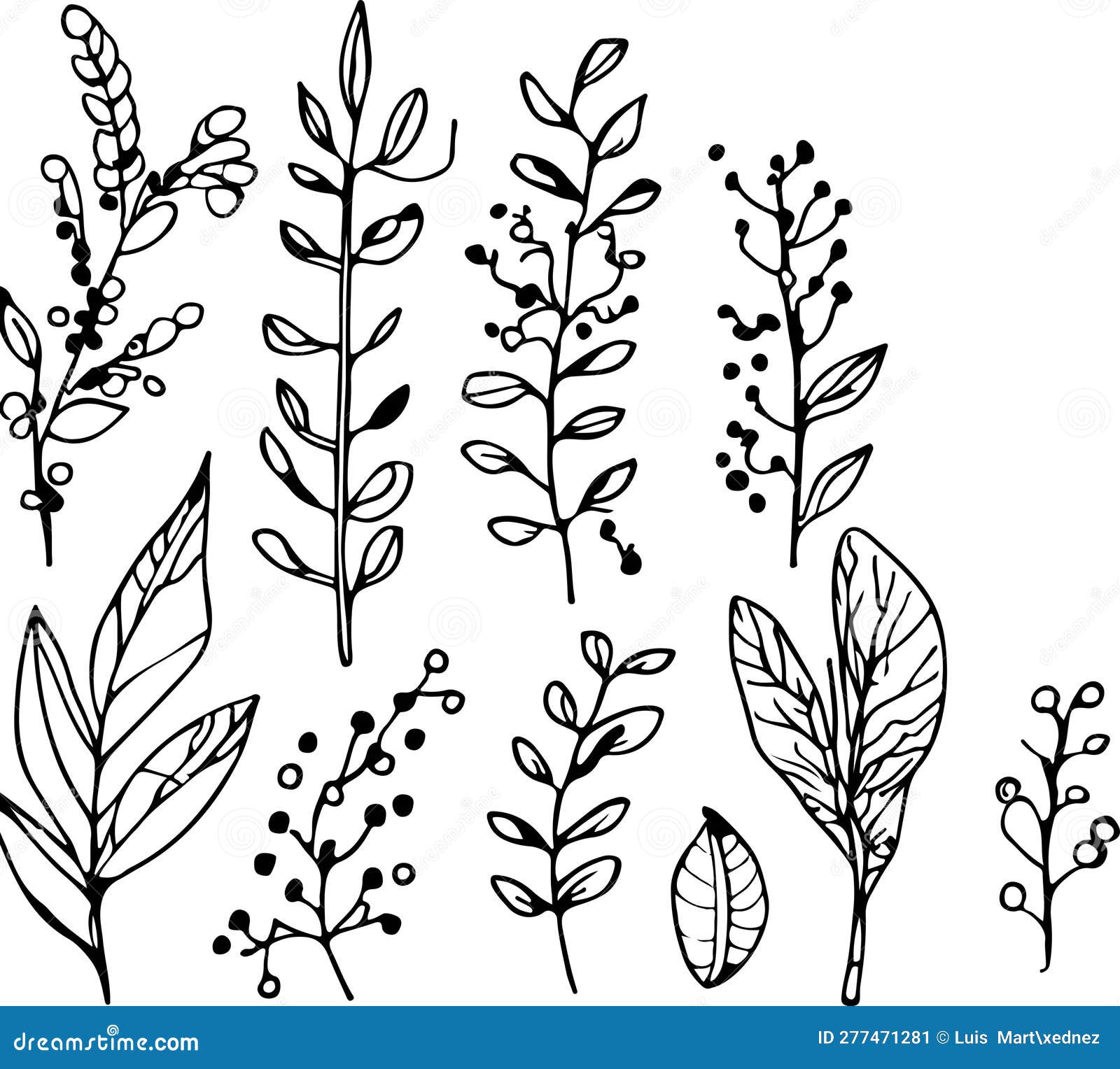 Super Hand Drawn Line Forest Flora Vector Stock Vector - Illustration ...
