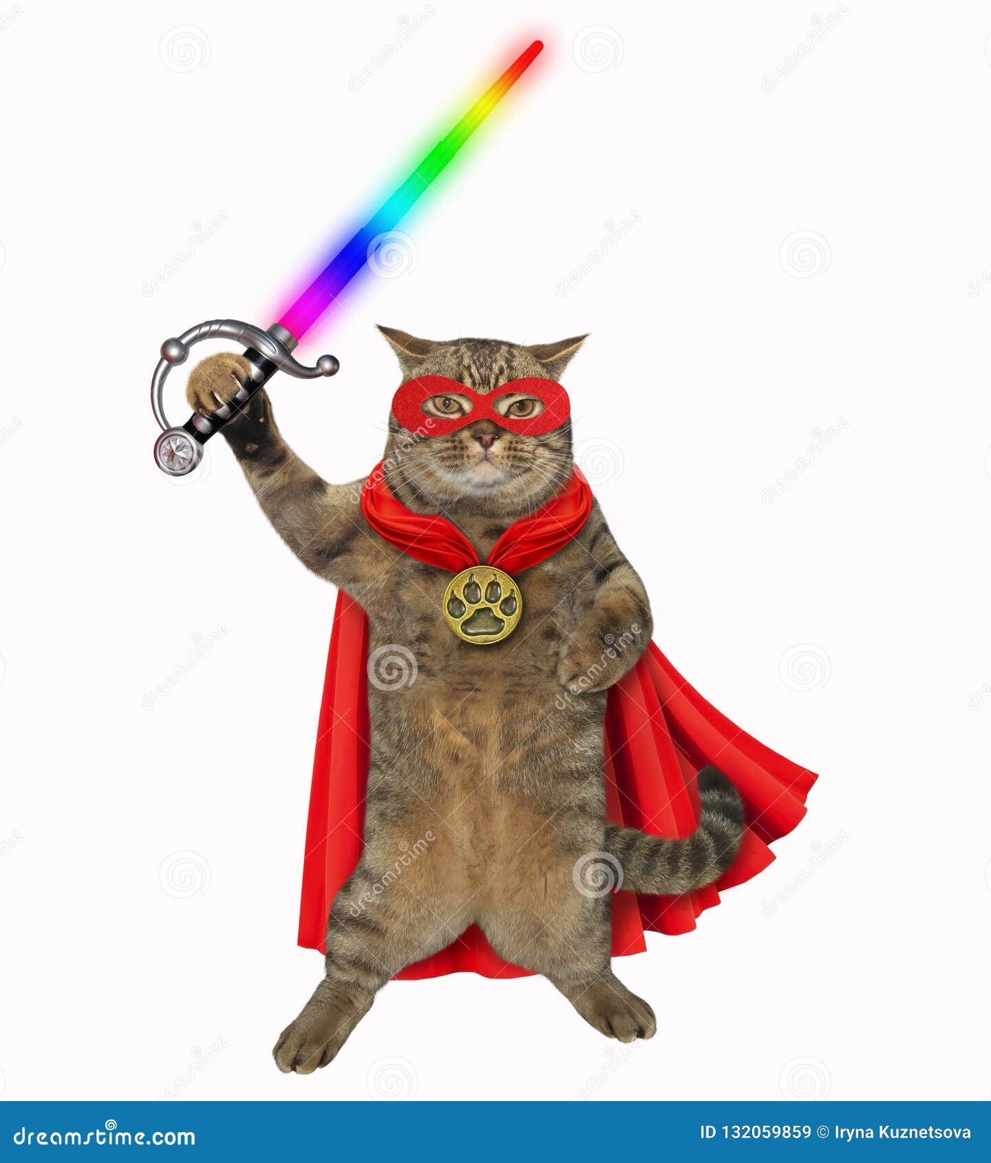 Super-herói Do Gato Com Uma Espada 2 Ilustração Stock - Ilustração de ...