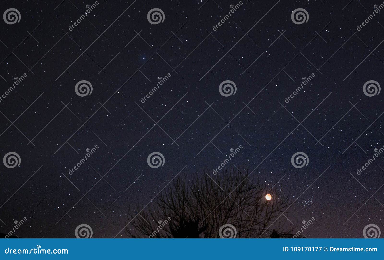 Moonblood Stock Photos - Free & Royalty-Free Stock Photos from Dreamstime