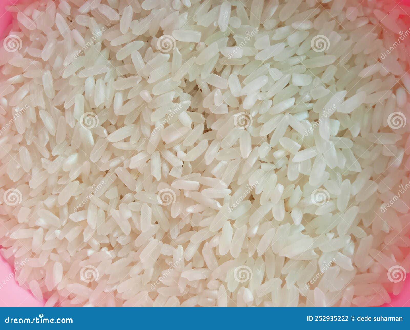 Super Rice, the Staple Food of Asia, is Cooked into Rice Stock Photo ...