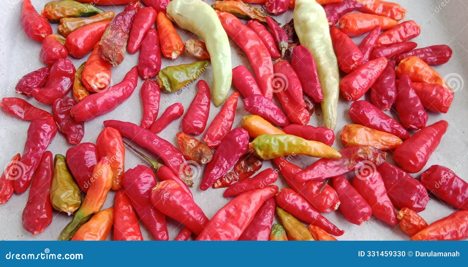 Super Spicy Red Devil Chili Stock Photo - Image of spicy, chili: 331459330