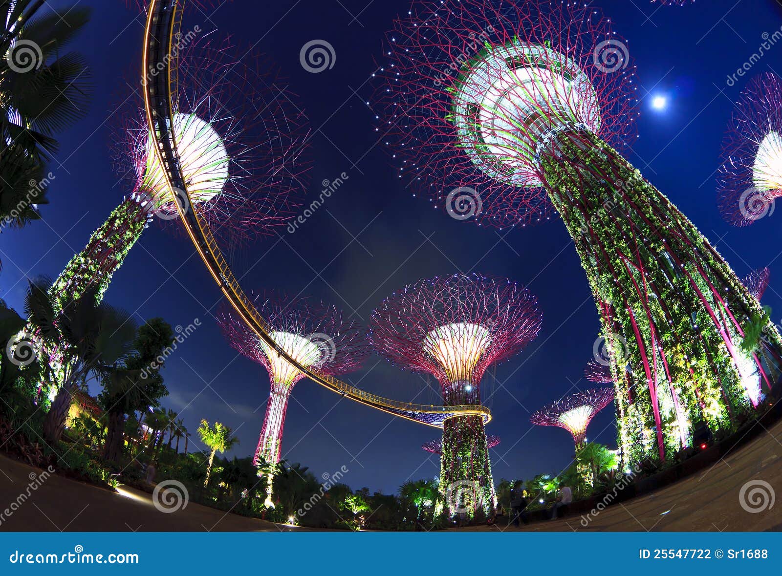 Super Tree editorial photography. Image of tree, landmarks - 25547722