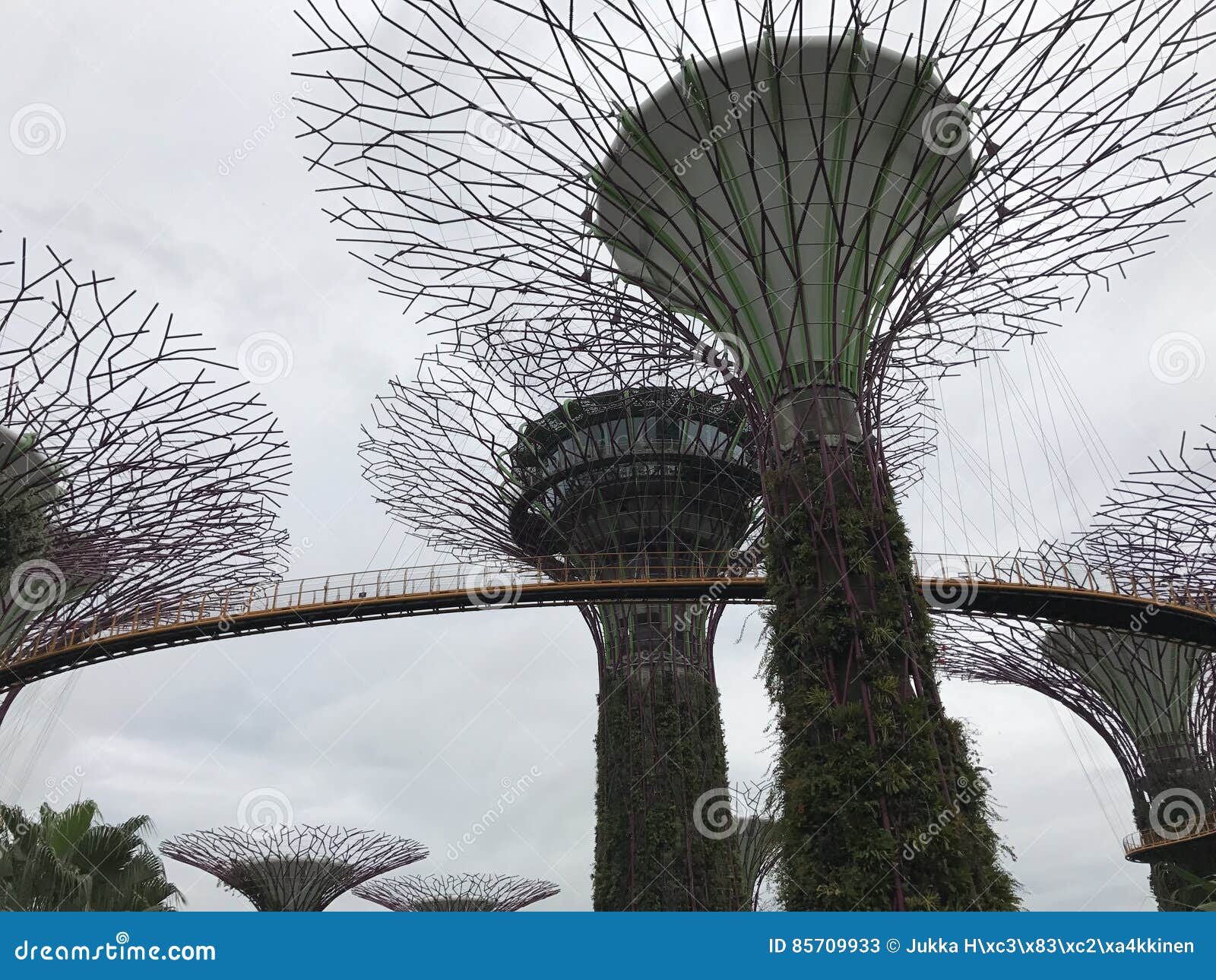 Super tree stock image. Image of singapore, building - 85709933