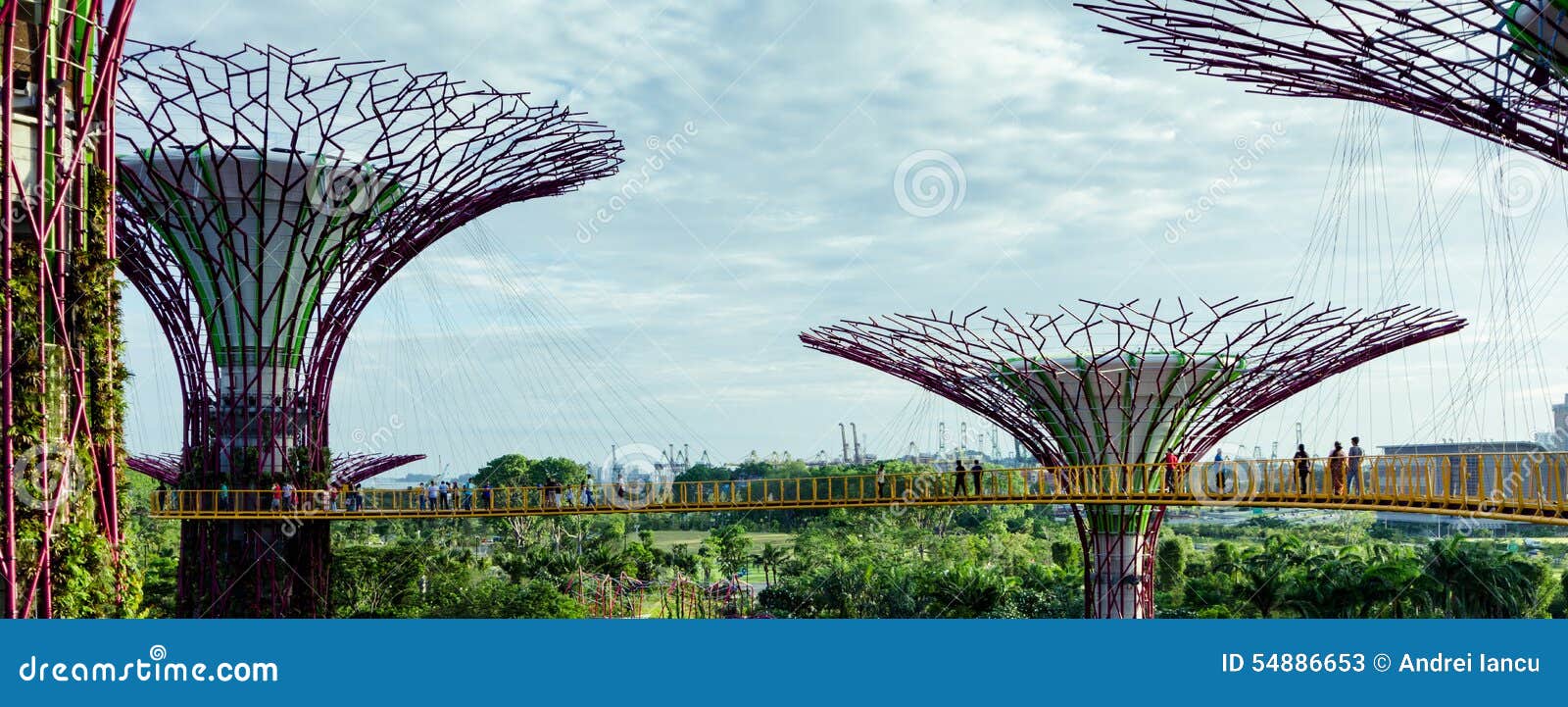 Super trees stock image. Image of canopy, park, singapore - 54886653