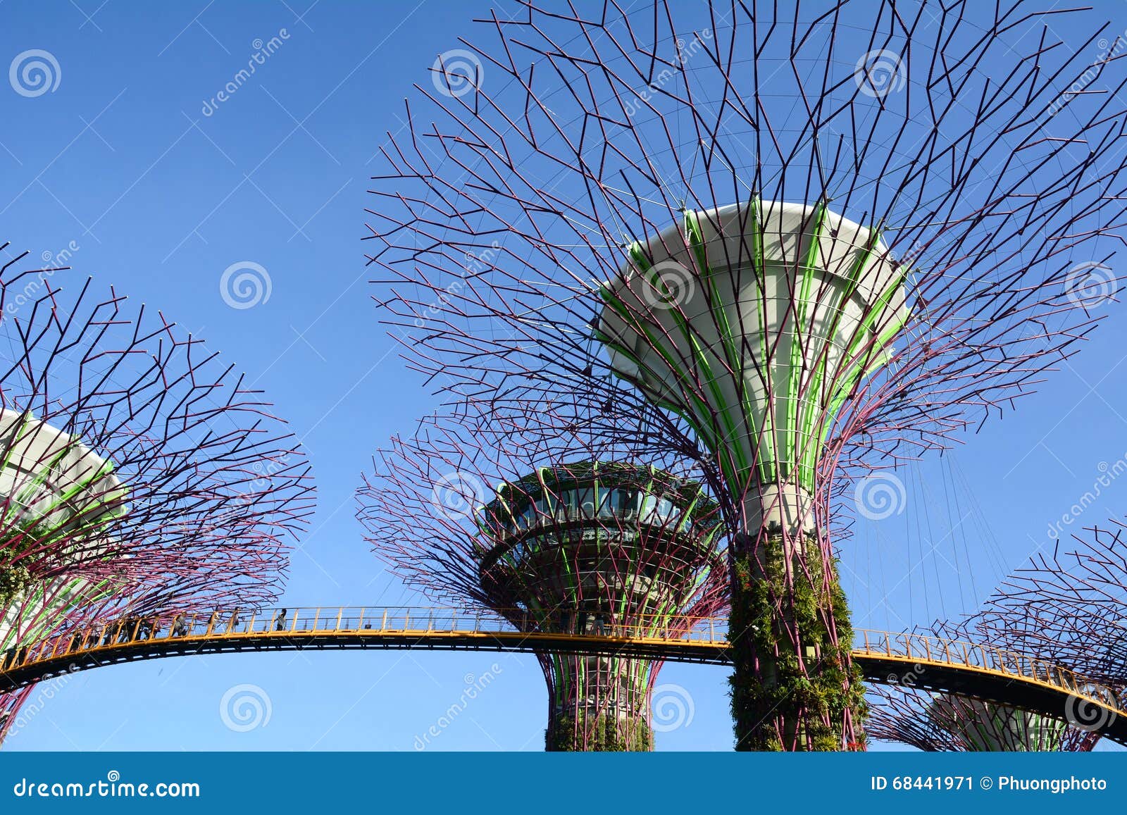 Super Trees at Gardens by the Bay in Singapore Editorial Photo - Image ...