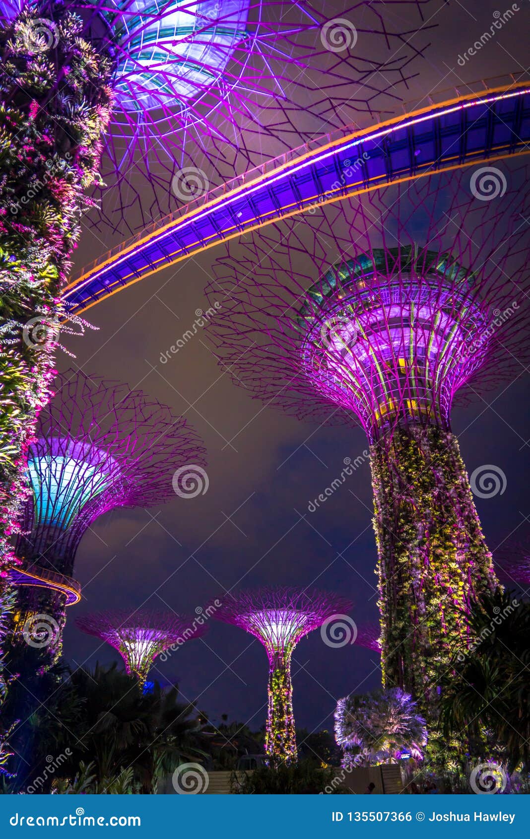 Super Trees In Singapore Stock Photo | CartoonDealer.com #135507366