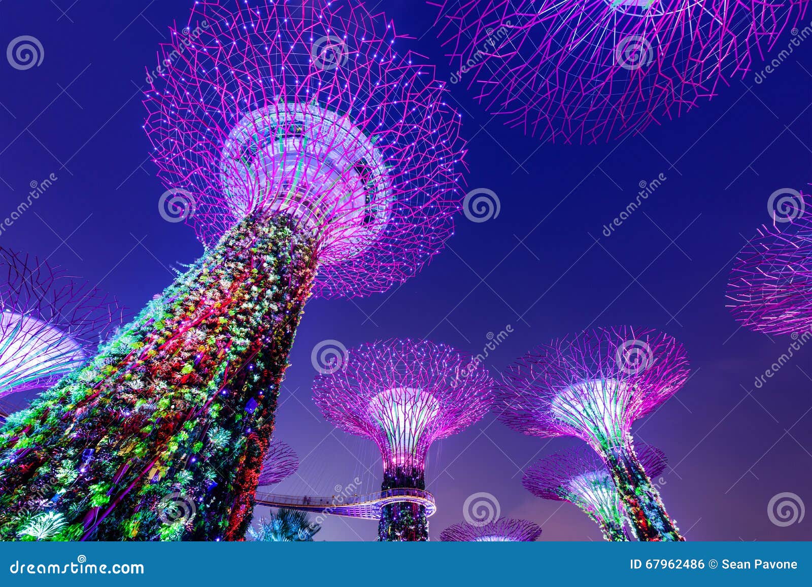 Super Trees of Singapore editorial photo. Image of forest - 67962486