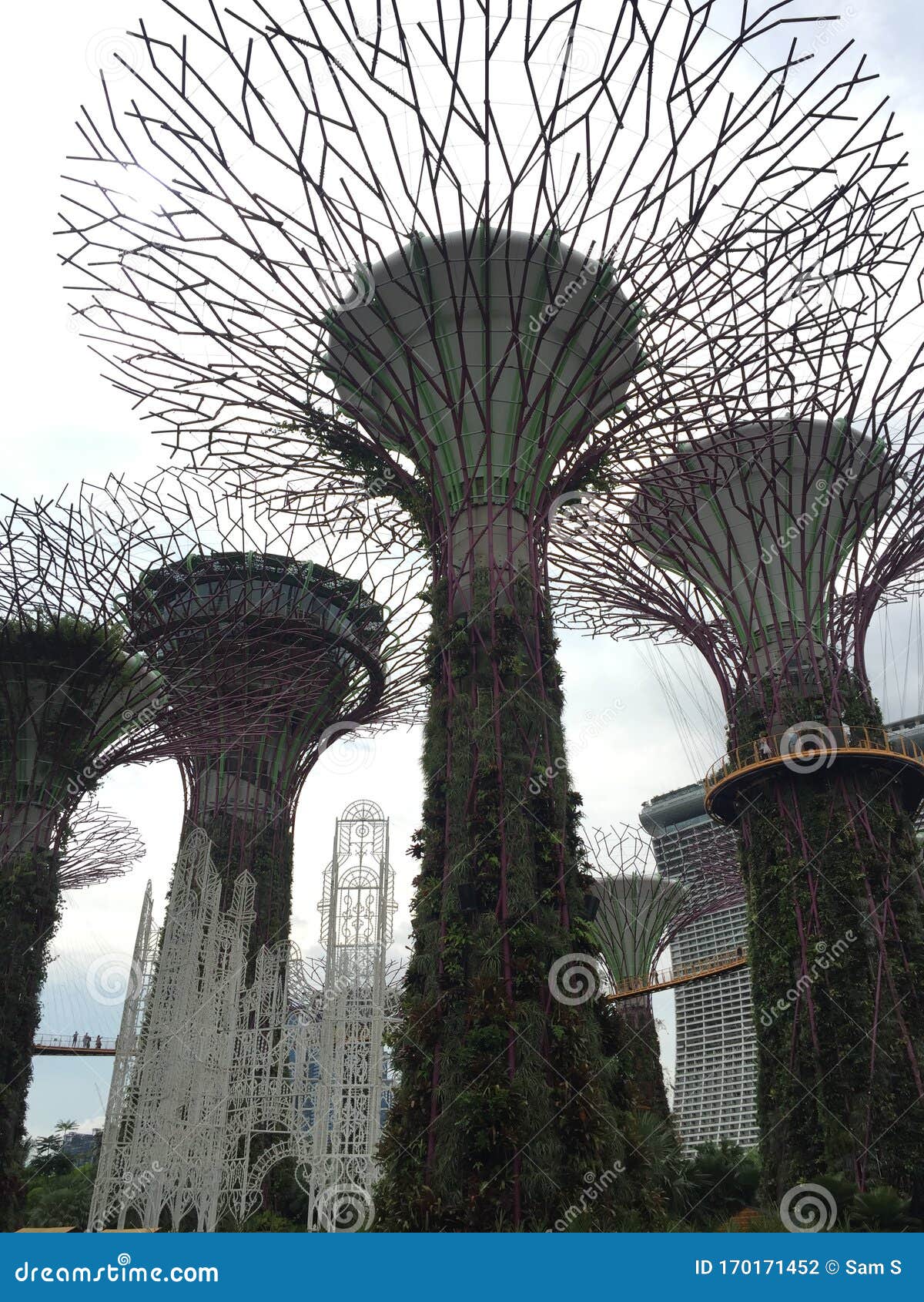 Super Trees stock photo. Image of gardensbythebay, trees - 170171452