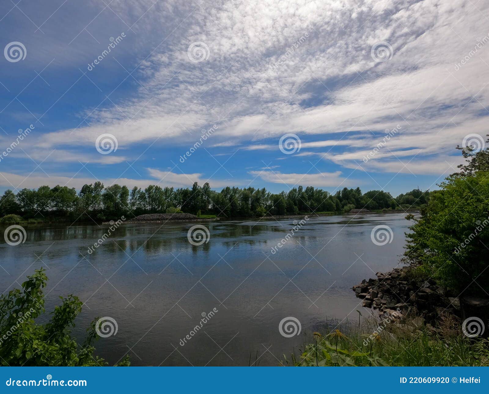 Super Wide Angle Shots with Action Cam of Forest and Meadow in Spring ...