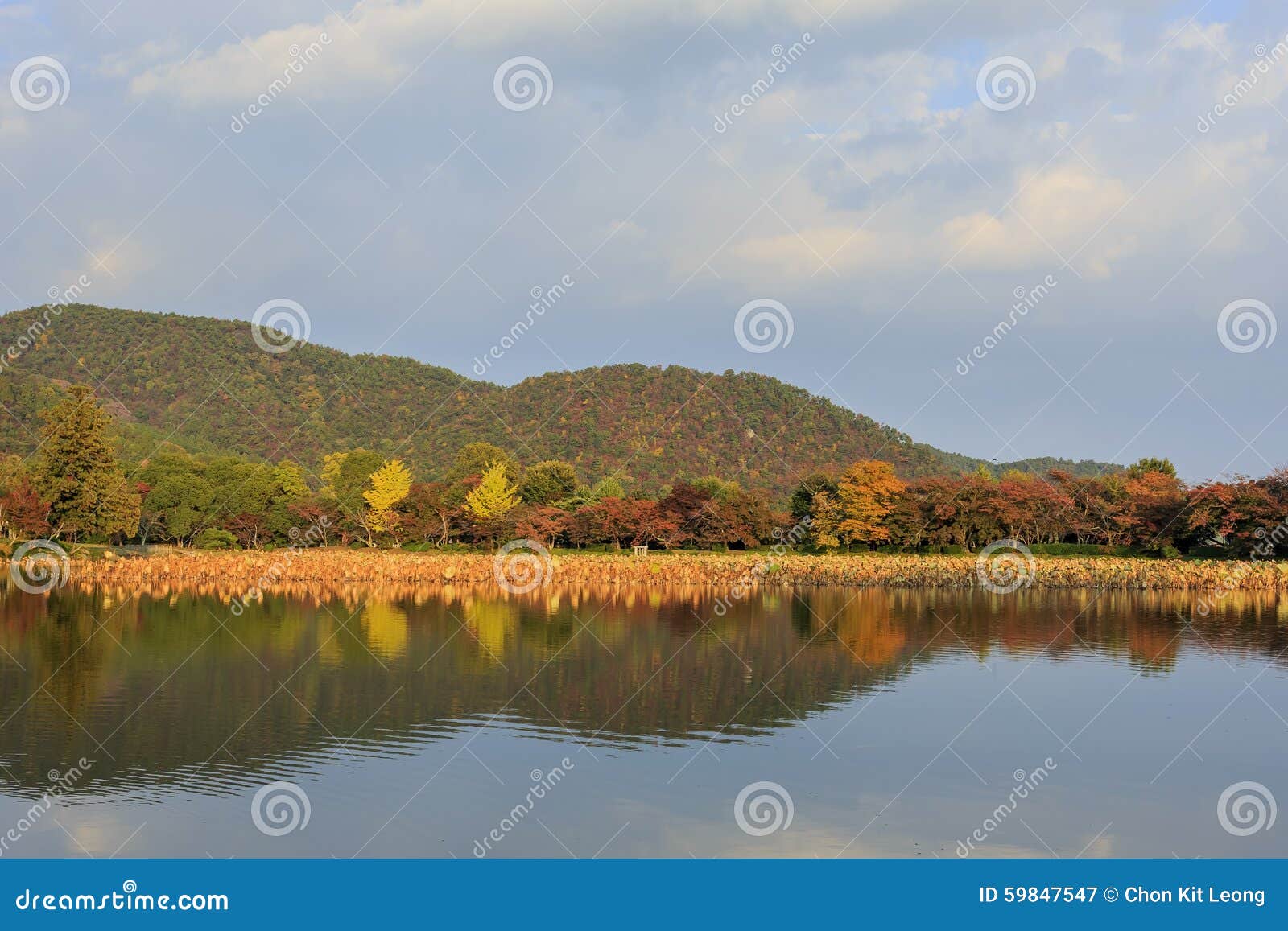 Superb View, Fall Color at Japan in the Autumn Stock Image - Image of ...