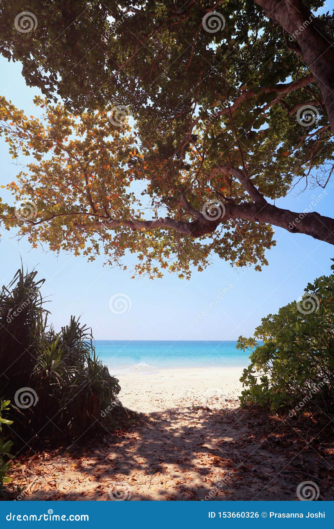 Superb View of Way To Beach Stock Photo - Image of beautiful, andaman ...