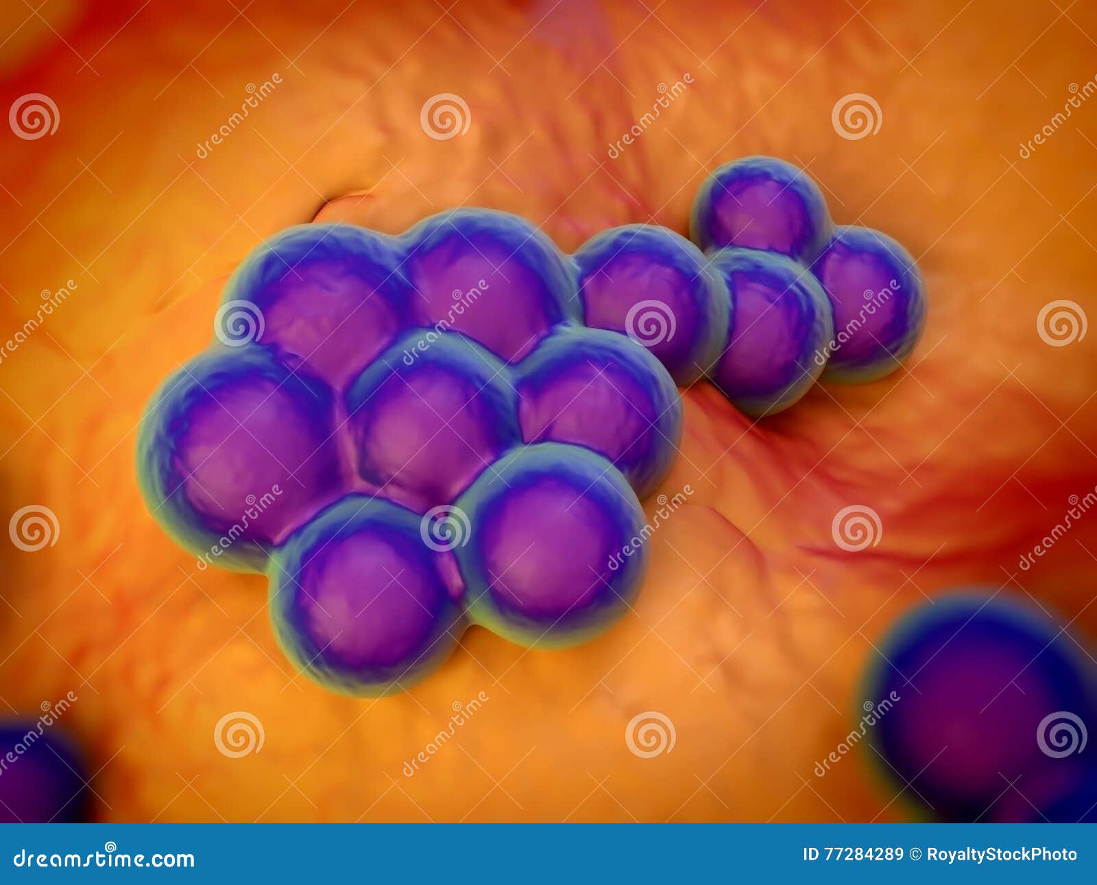 Superbug bacteria stock illustration. Illustration of infection - 77284289