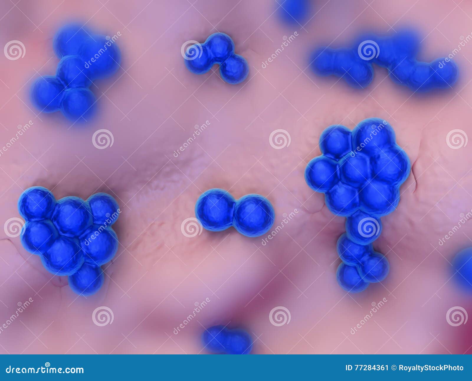 Superbug bacteria stock illustration. Illustration of dividing - 77284361