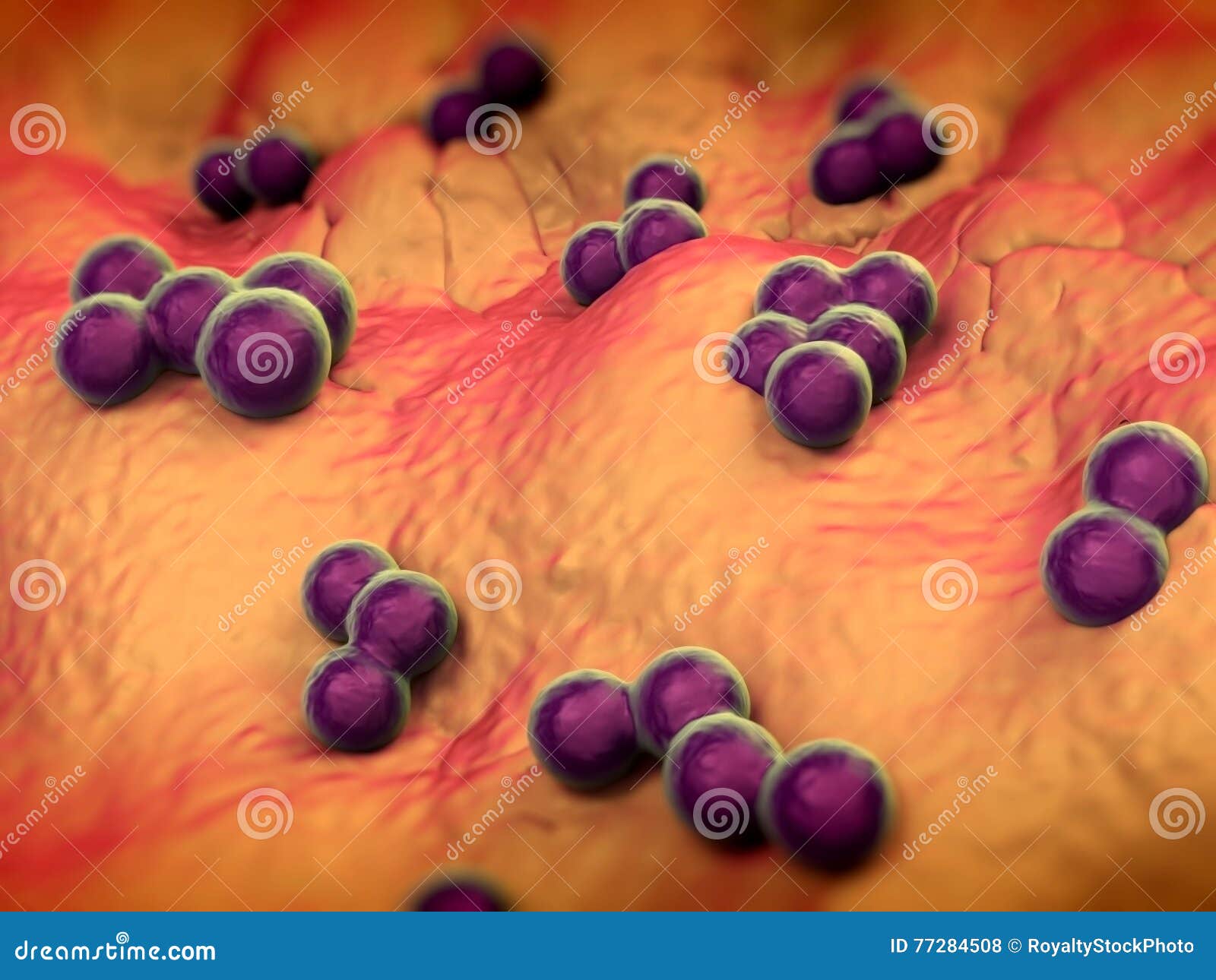 Superbug bacteria stock illustration. Illustration of bacterium - 77284508
